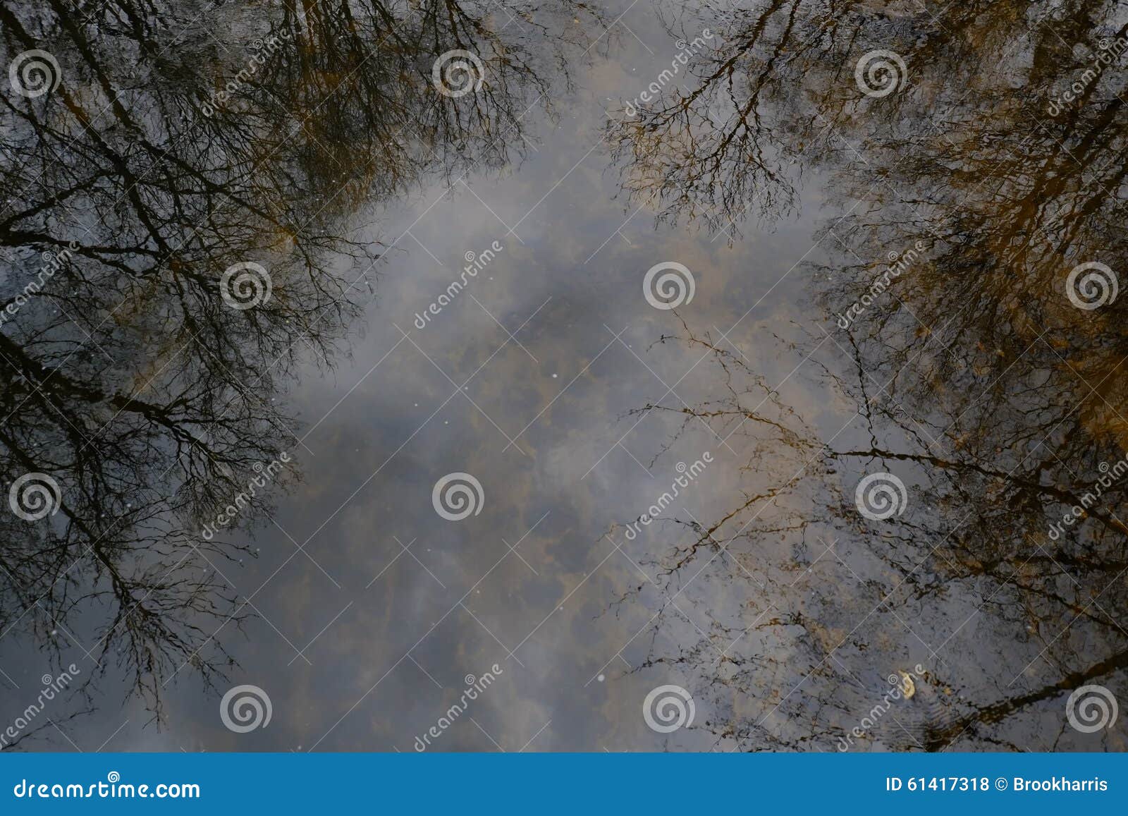 Reflections of Trees in the River Waters Stock Photo - Image of misty ...