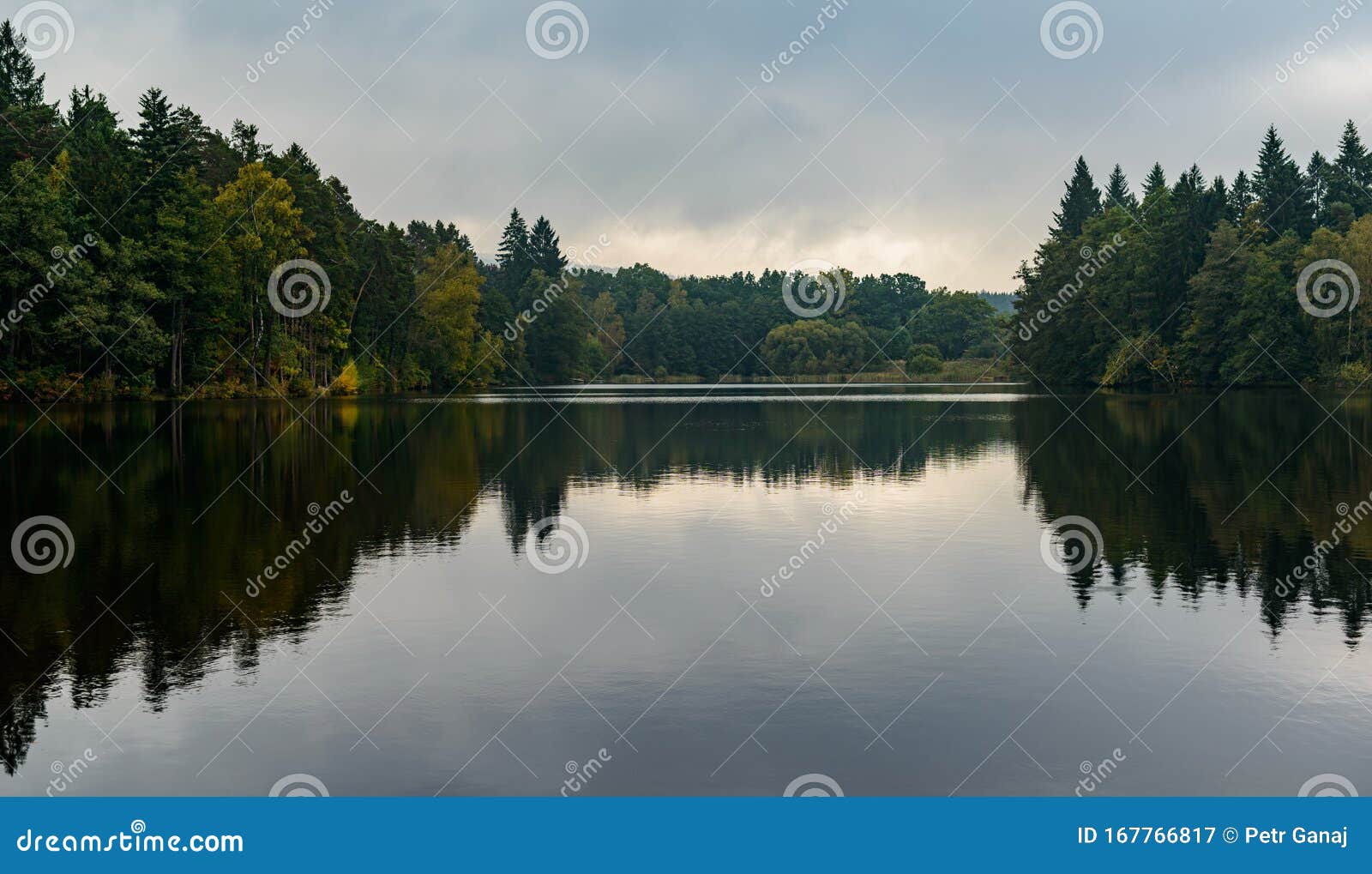 Reflections of Trees and Sky on Still Lake Stock Image - Image of ...