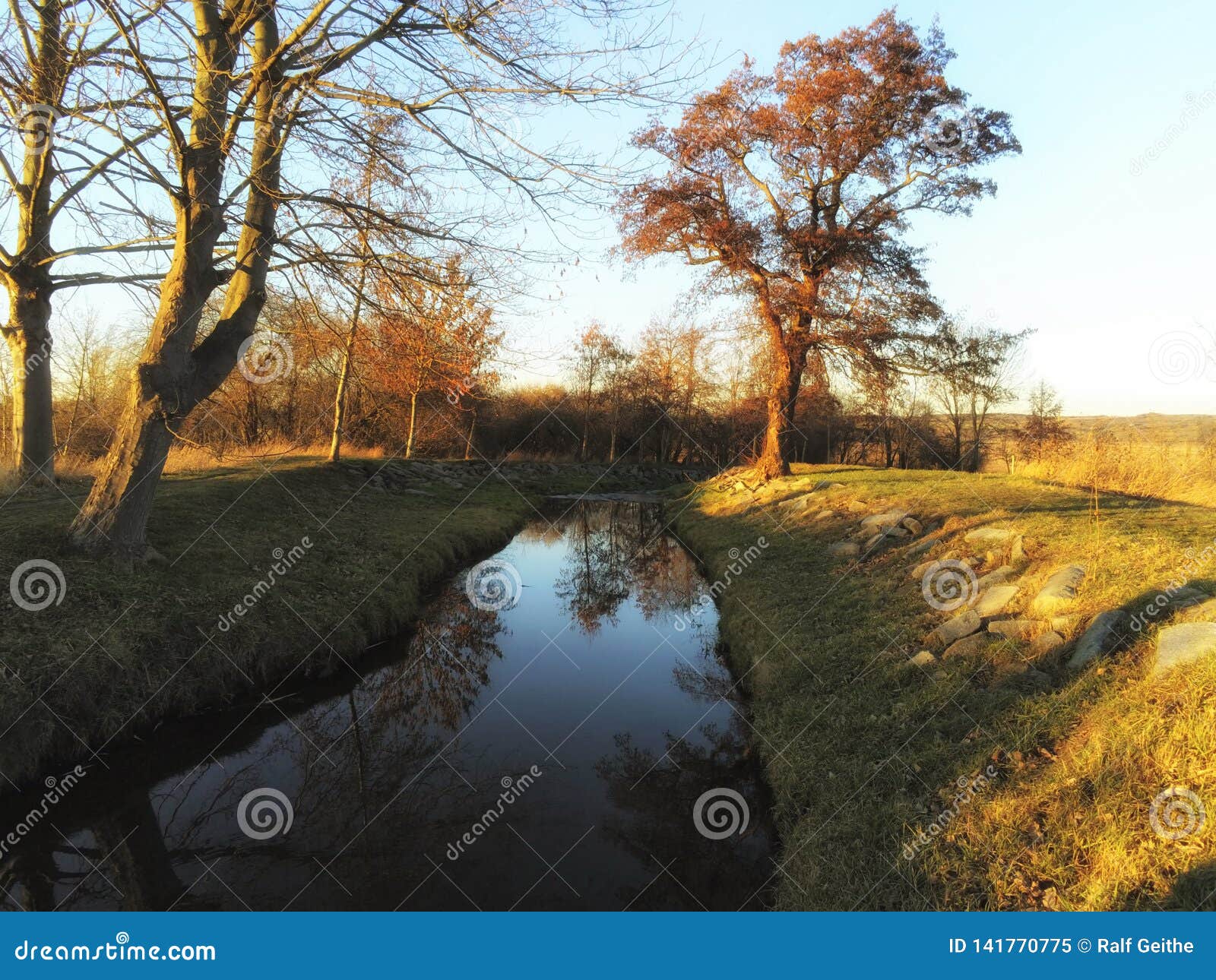 Reflections of the Trees in the Water of a Stream Stock Image - Image ...
