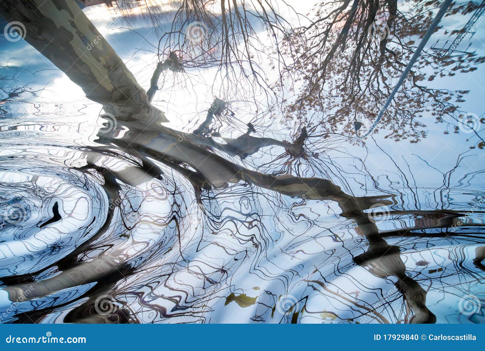 Reflections on the water stock photo. Image of climate - 17929840