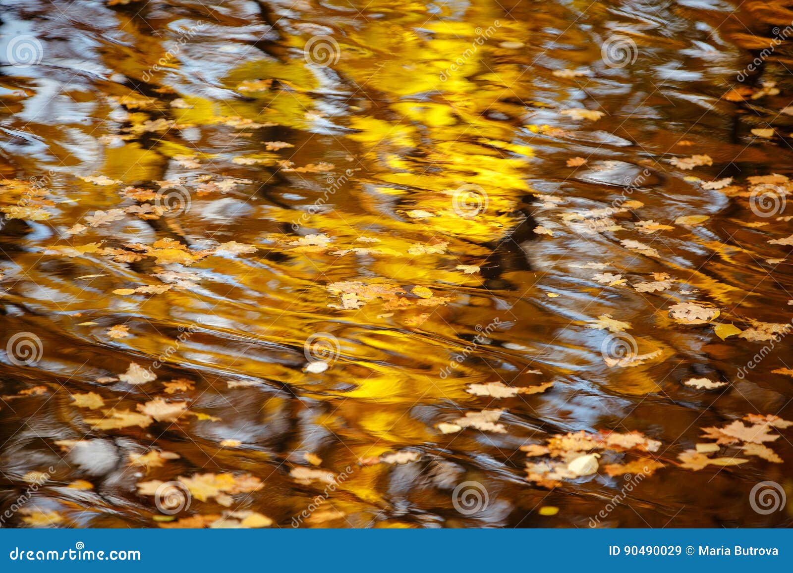 Reflections in the Water, Abstract Autumn Background Stock Image ...