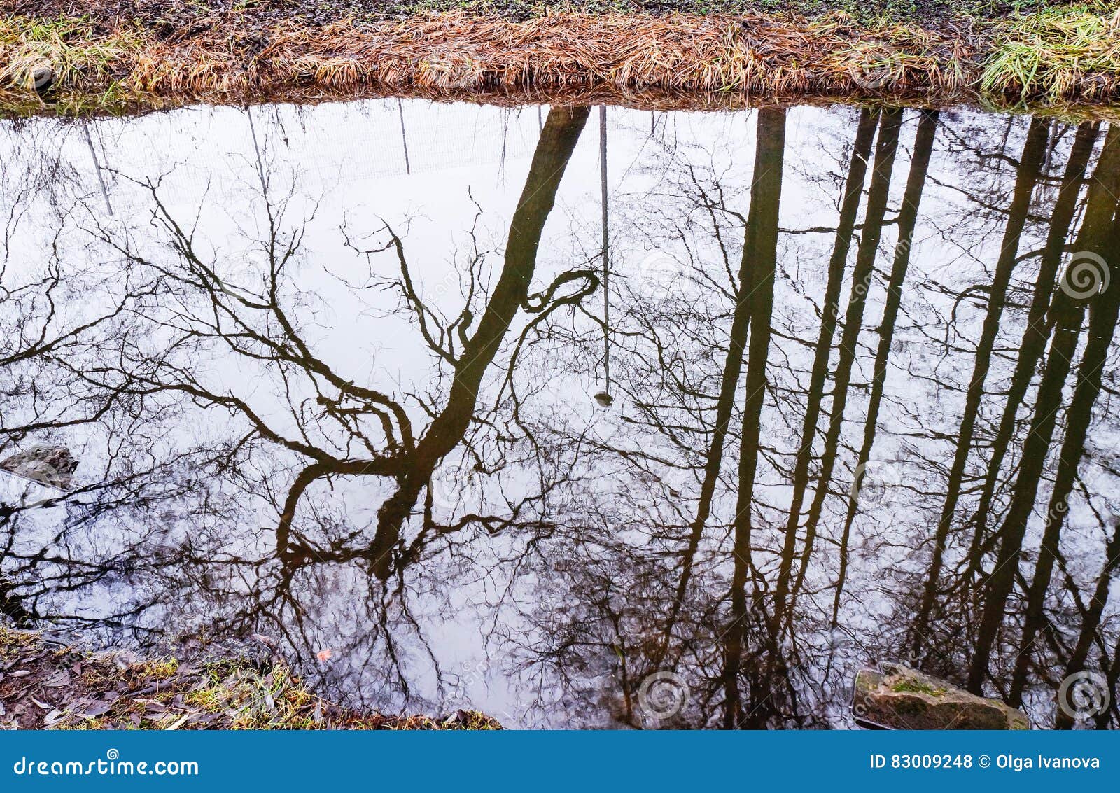 Reflections in water stock photo. Image of small, light - 83009248