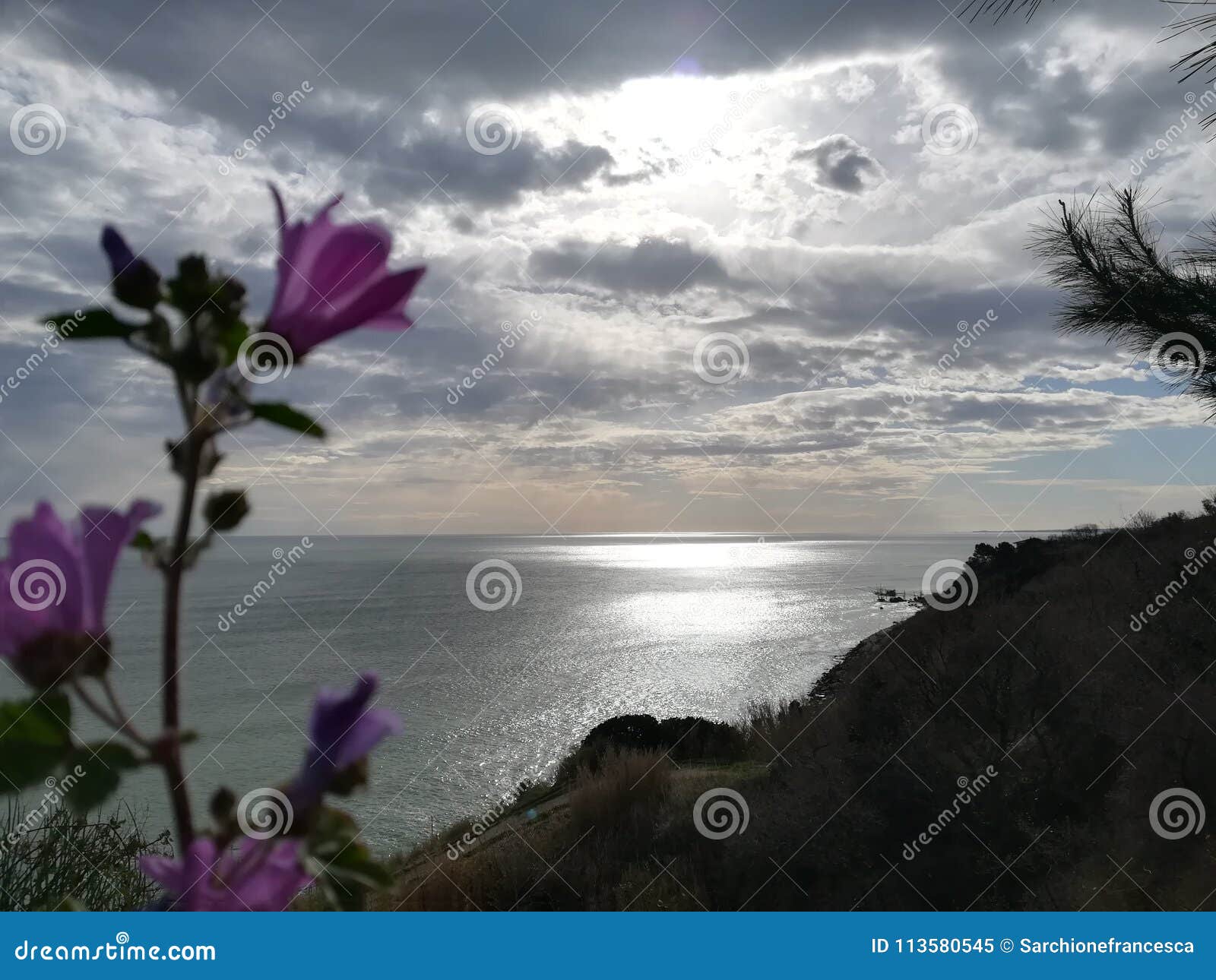 Shimmer of the sea stock image. Image of beach, horizonoverwater ...