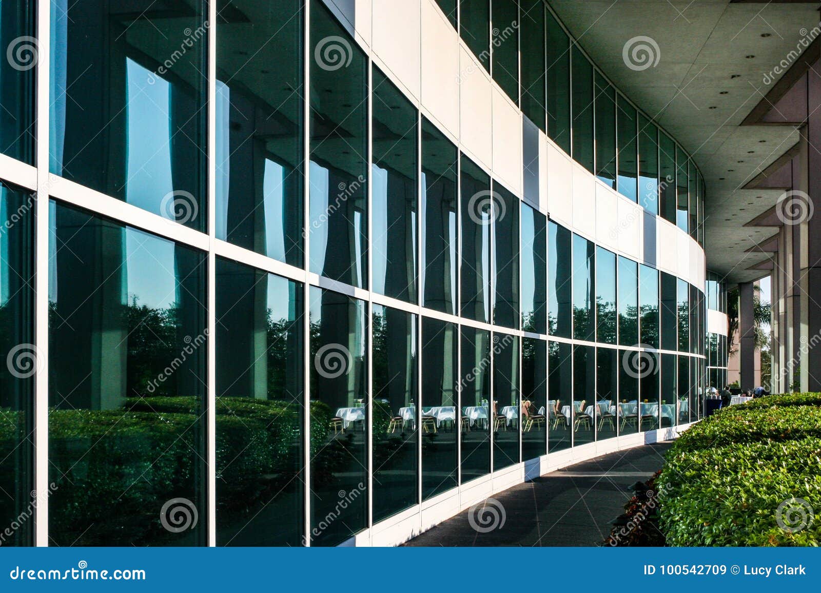 Window Reflections stock image. Image of tall, architecture - 100542709