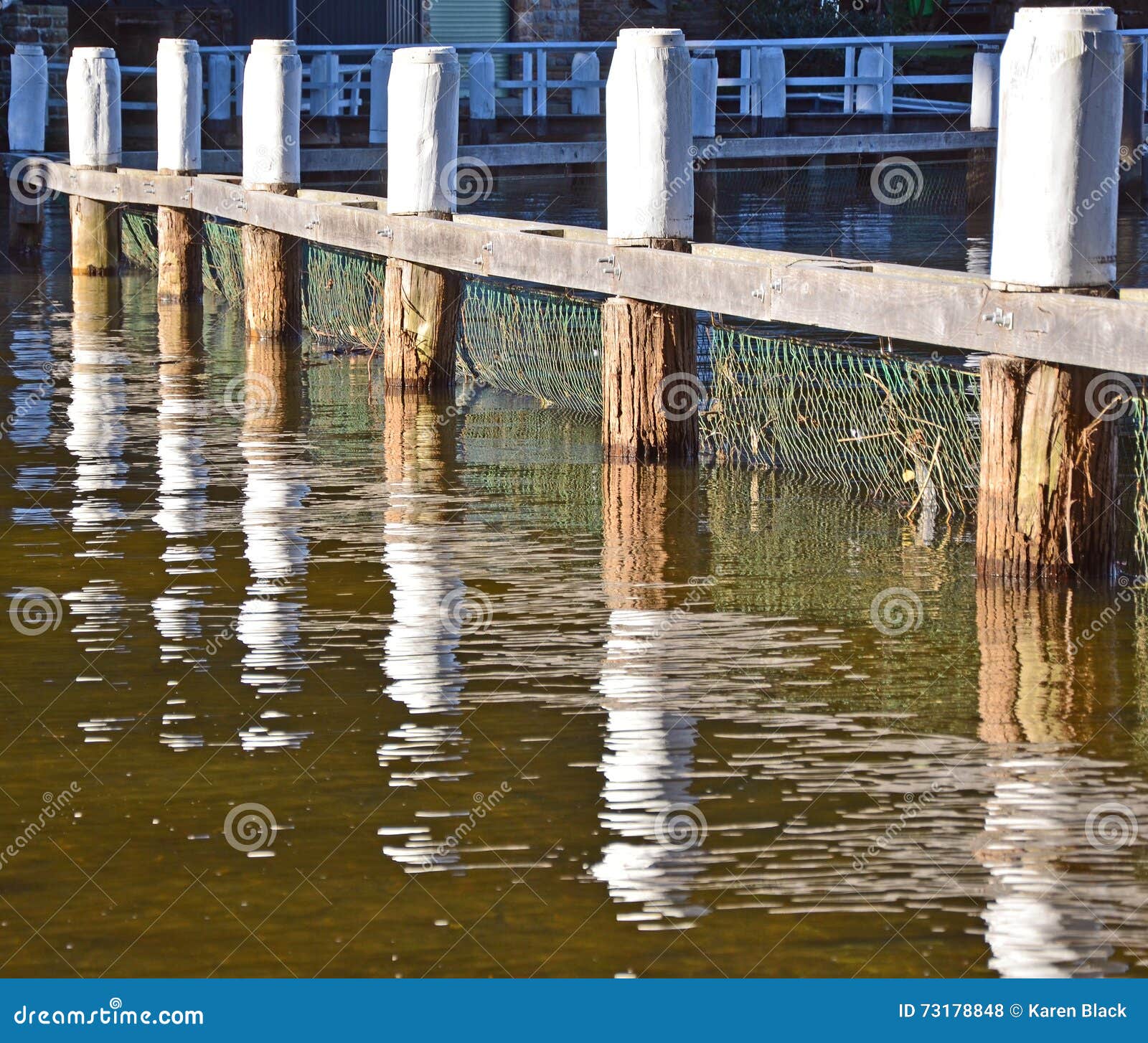 Reflections of Wooden Pylons Stock Photo - Image of pier, fishing: 73178848