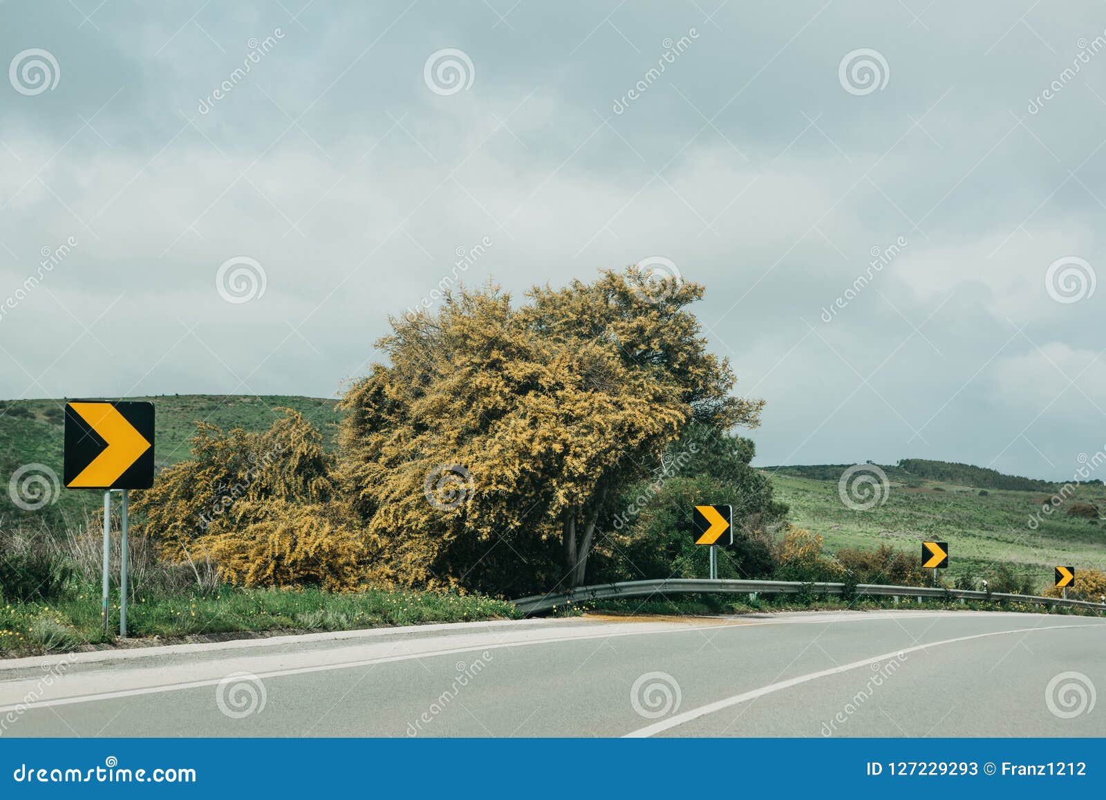 Reflective Direction Indicators on the Road. Stock Image - Image of ...