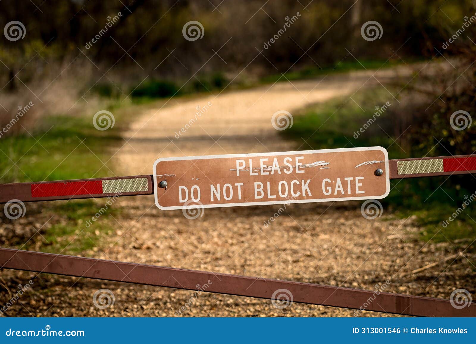 Reflective Gate Wine in the Idaho Wilderness Stock Photo - Image of ...