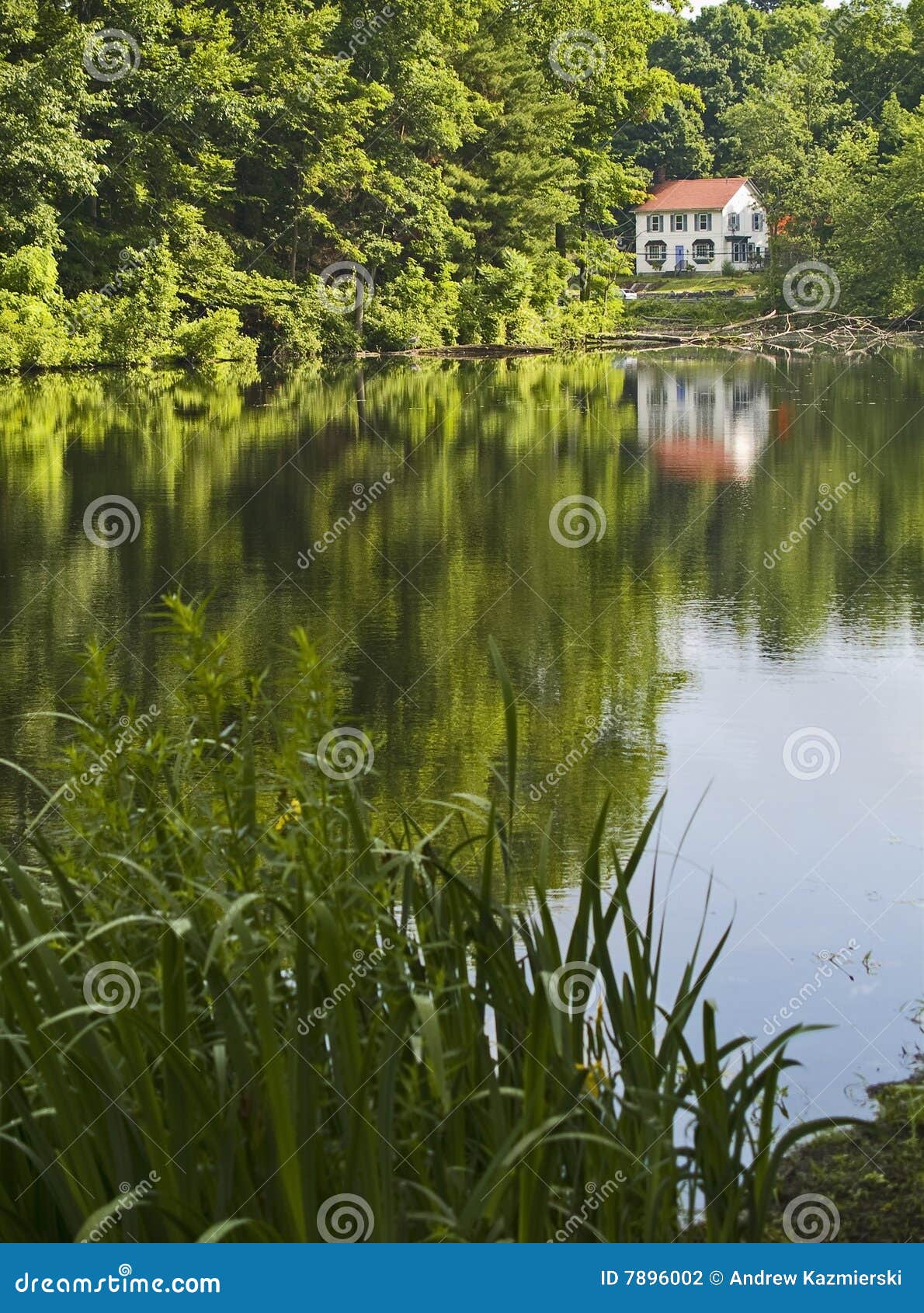 Reflective Home stock photo. Image of shoreline, reflection - 7896002