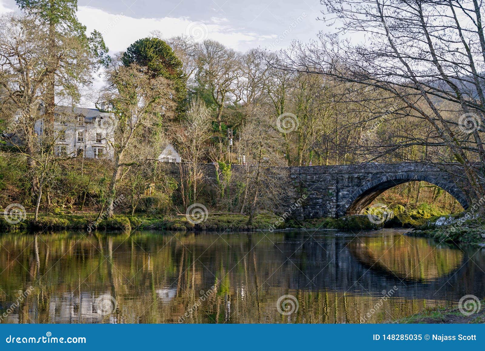 A Reflective Lake View Surrounded by Forest with a House in the ...