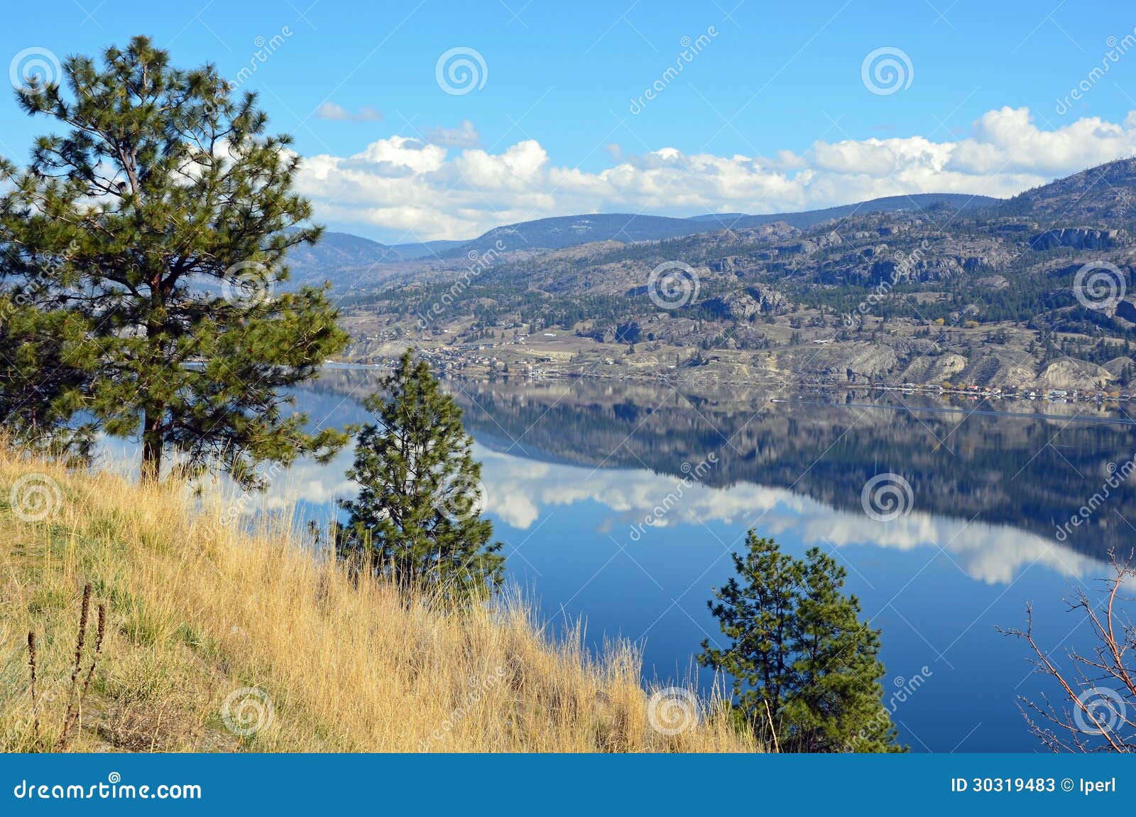 Reflective lakeshore view stock image. Image of pine - 30319483