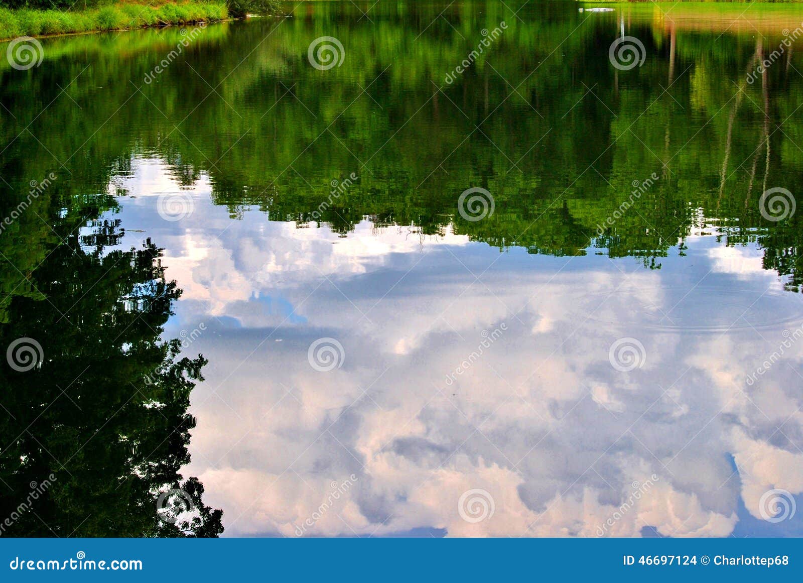 Reflective pond stock photo. Image of blue, fish, northern - 46697124