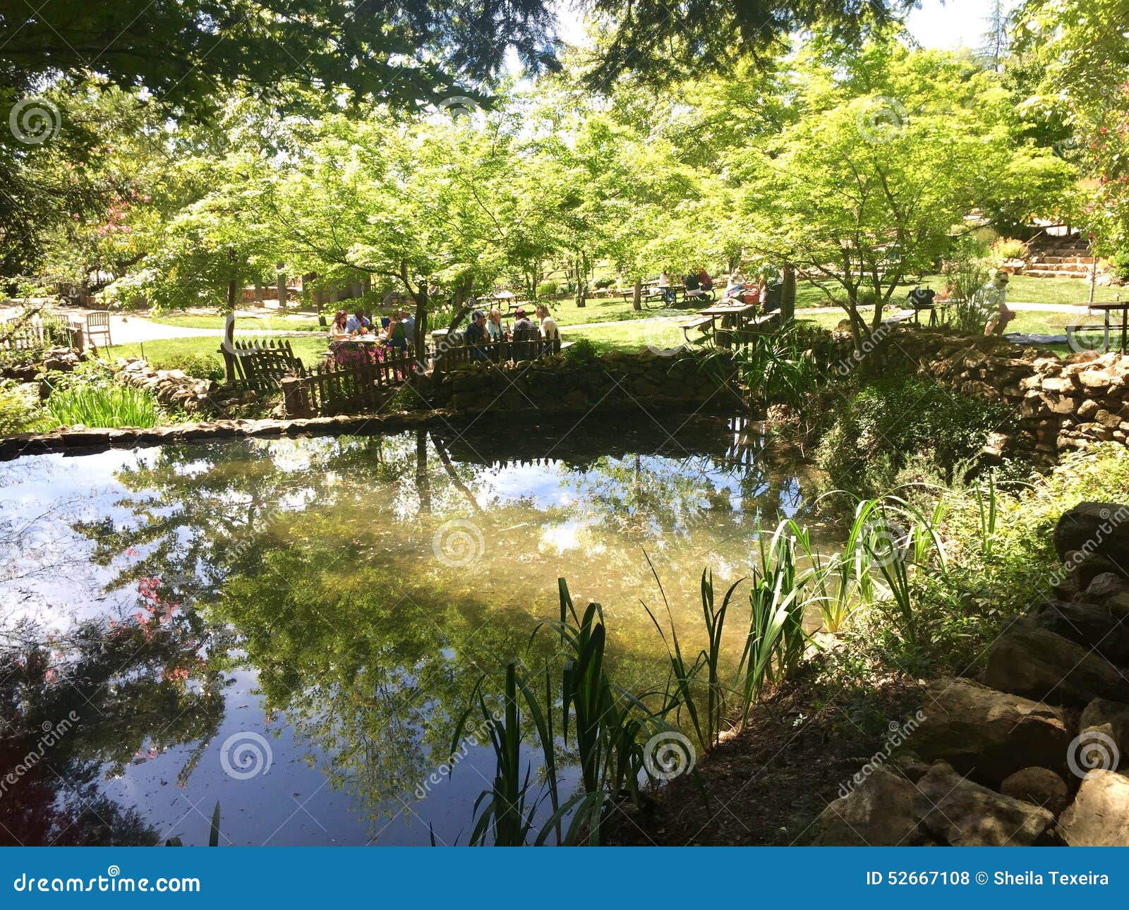 Reflective pond stock photo. Image of california, sunny - 52667108