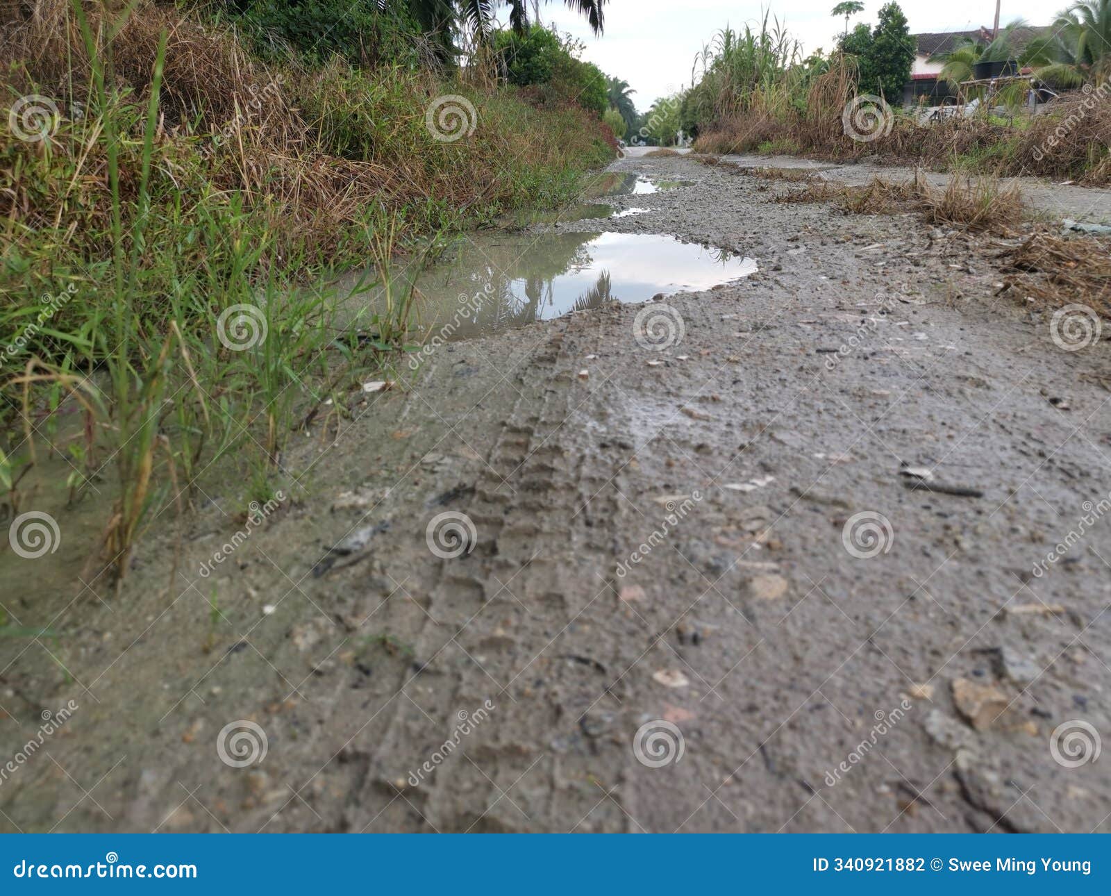 Reflective Pool of Stagnant Water after Heavy Rainfall on the Rural ...