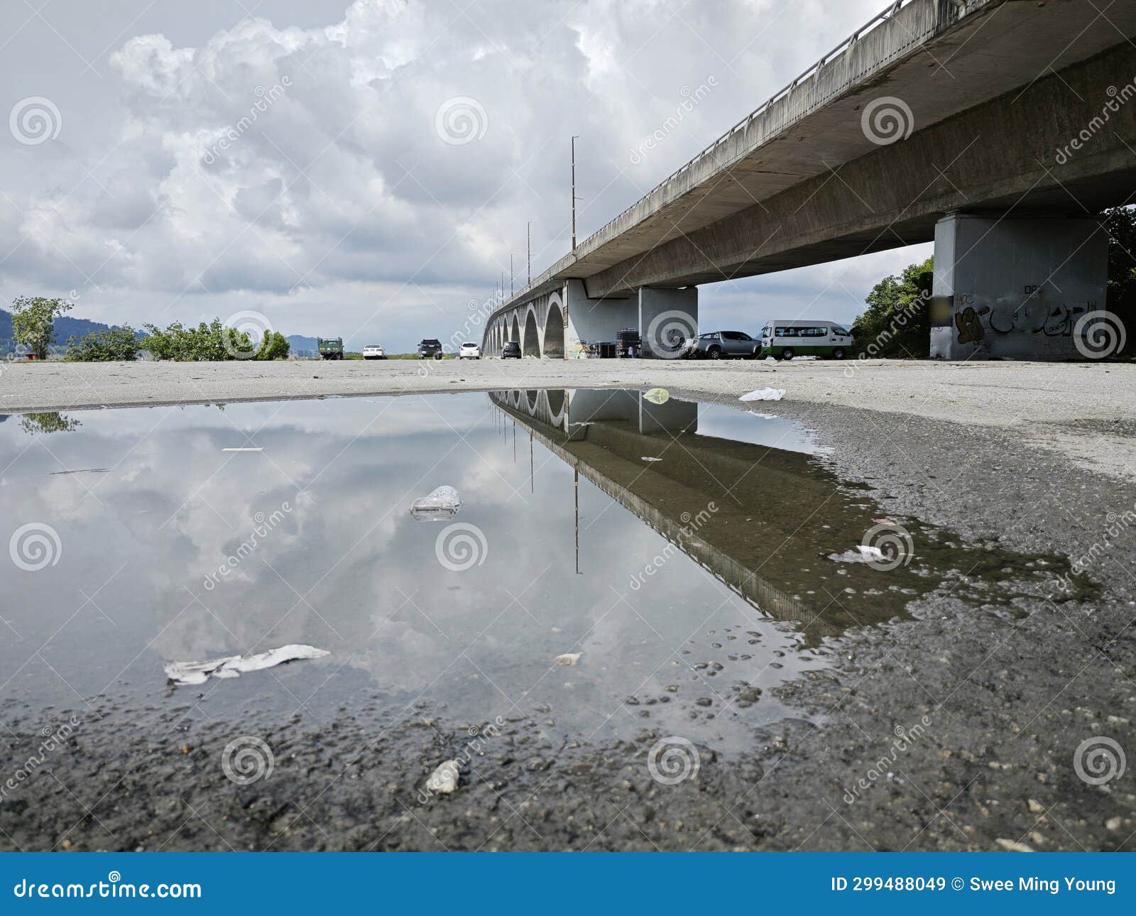 Reflective Pool of Water on the Asphalt Street Beneath the Bridge ...