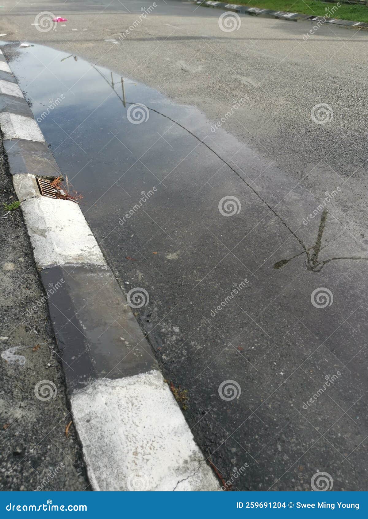 Reflective Puddle with Stagnant Water on the Roadside after the Rain ...