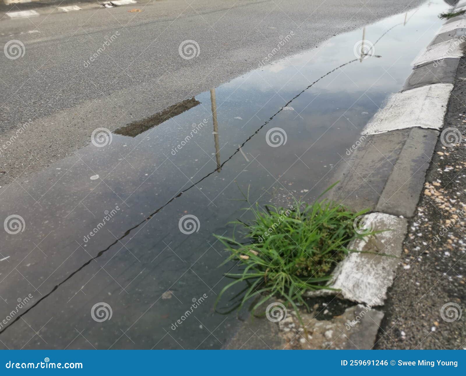 Reflective Puddle with Stagnant Water on the Roadside after the Rain ...
