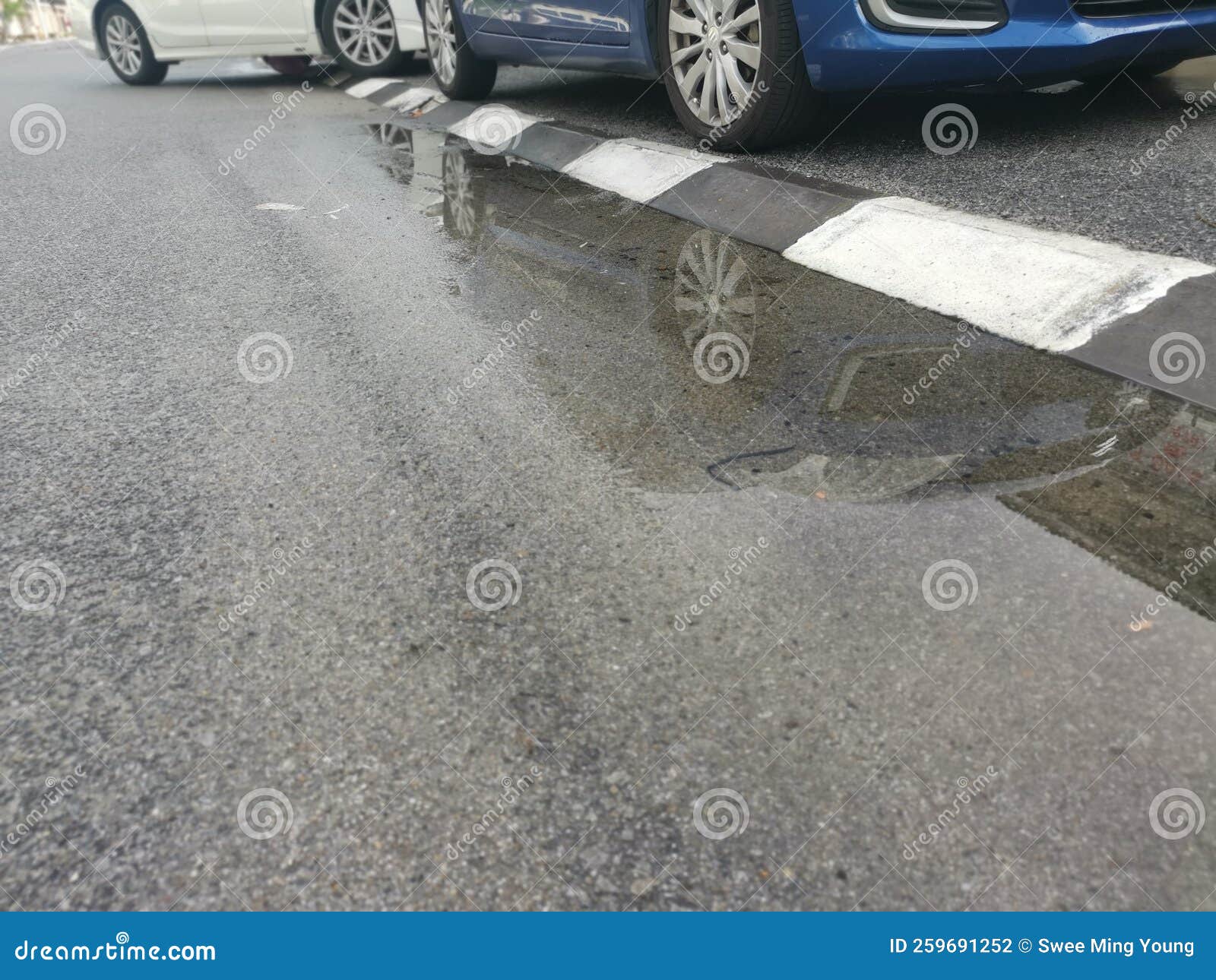 Reflective Puddle with Stagnant Water on the Roadside after the Rain ...