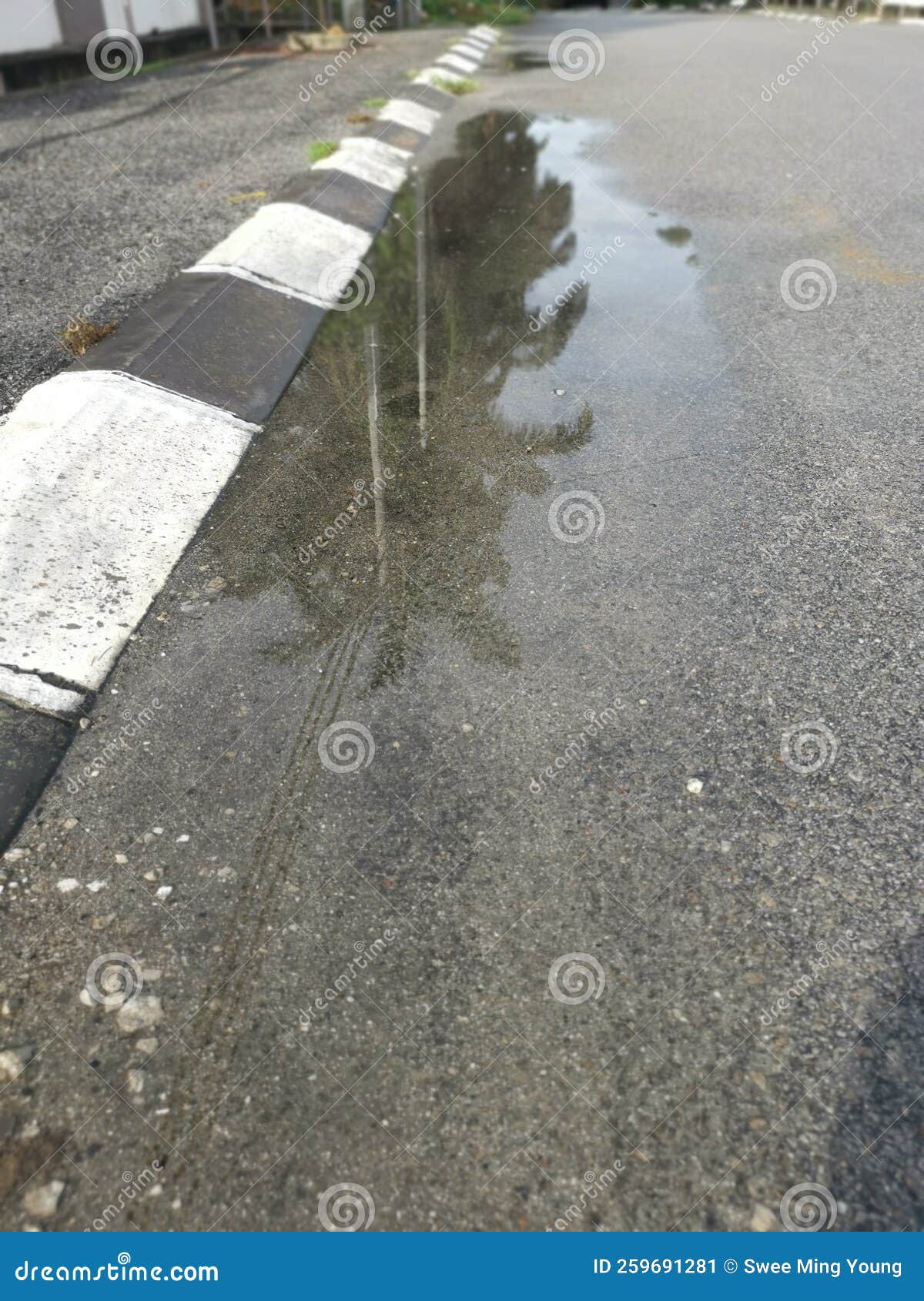 Reflective Puddle with Stagnant Water on the Roadside after the Rain ...