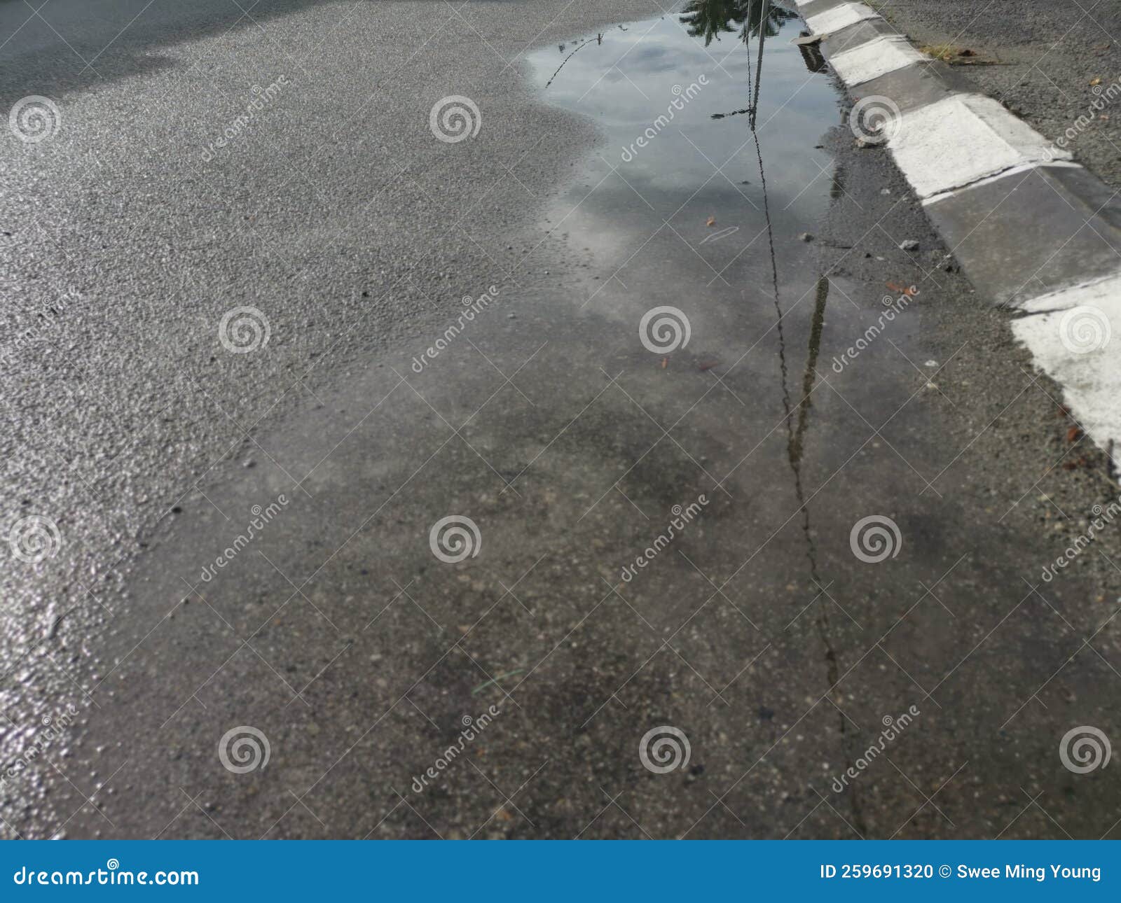 Reflective Puddle with Stagnant Water on the Roadside after the Rain ...