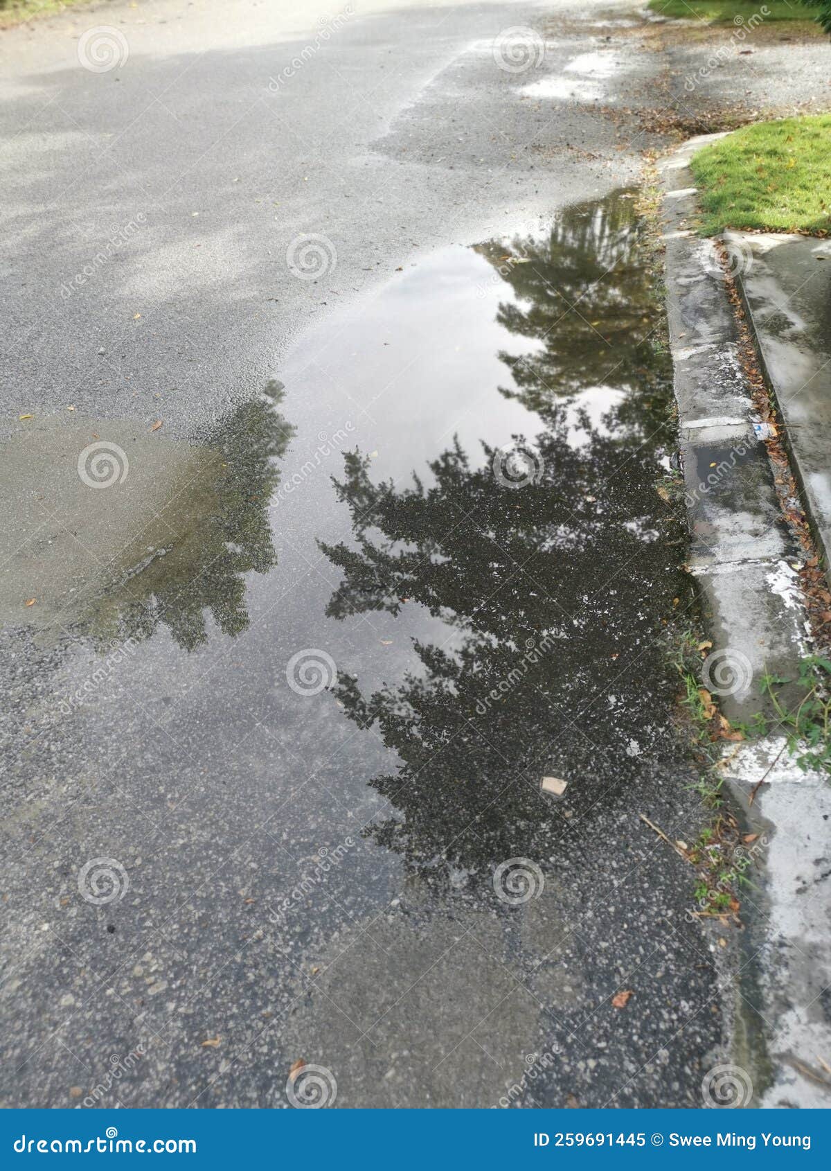 Reflective Puddle with Stagnant Water on the Roadside after the Rain ... Reflective Puddle with Stagnant Water on the Roadside after the Rain ...