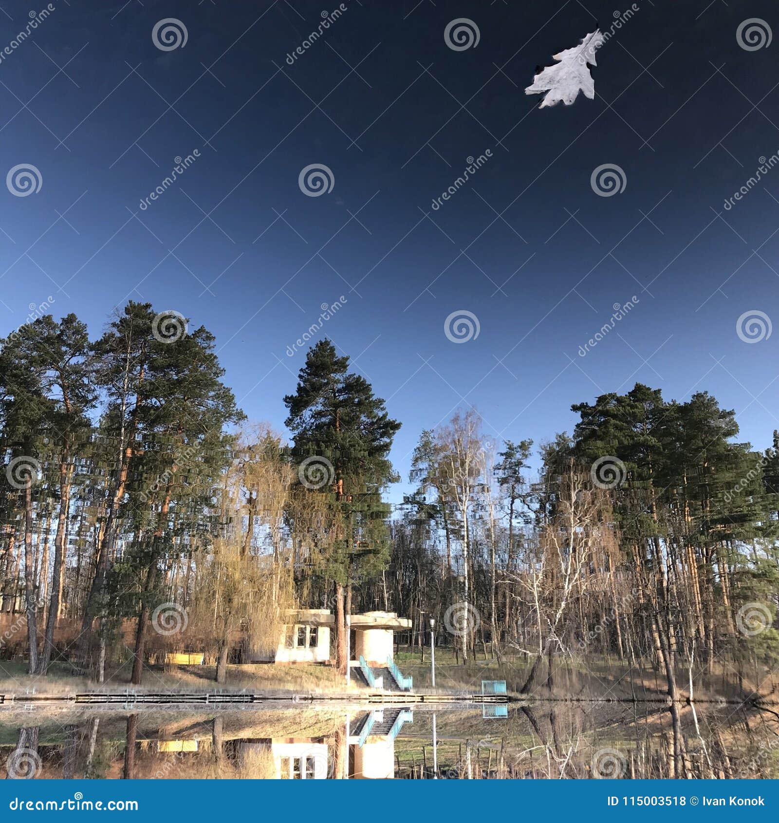 Reflexion stockfoto. Bild von foto, reflexion, umgekehrt - 115003518