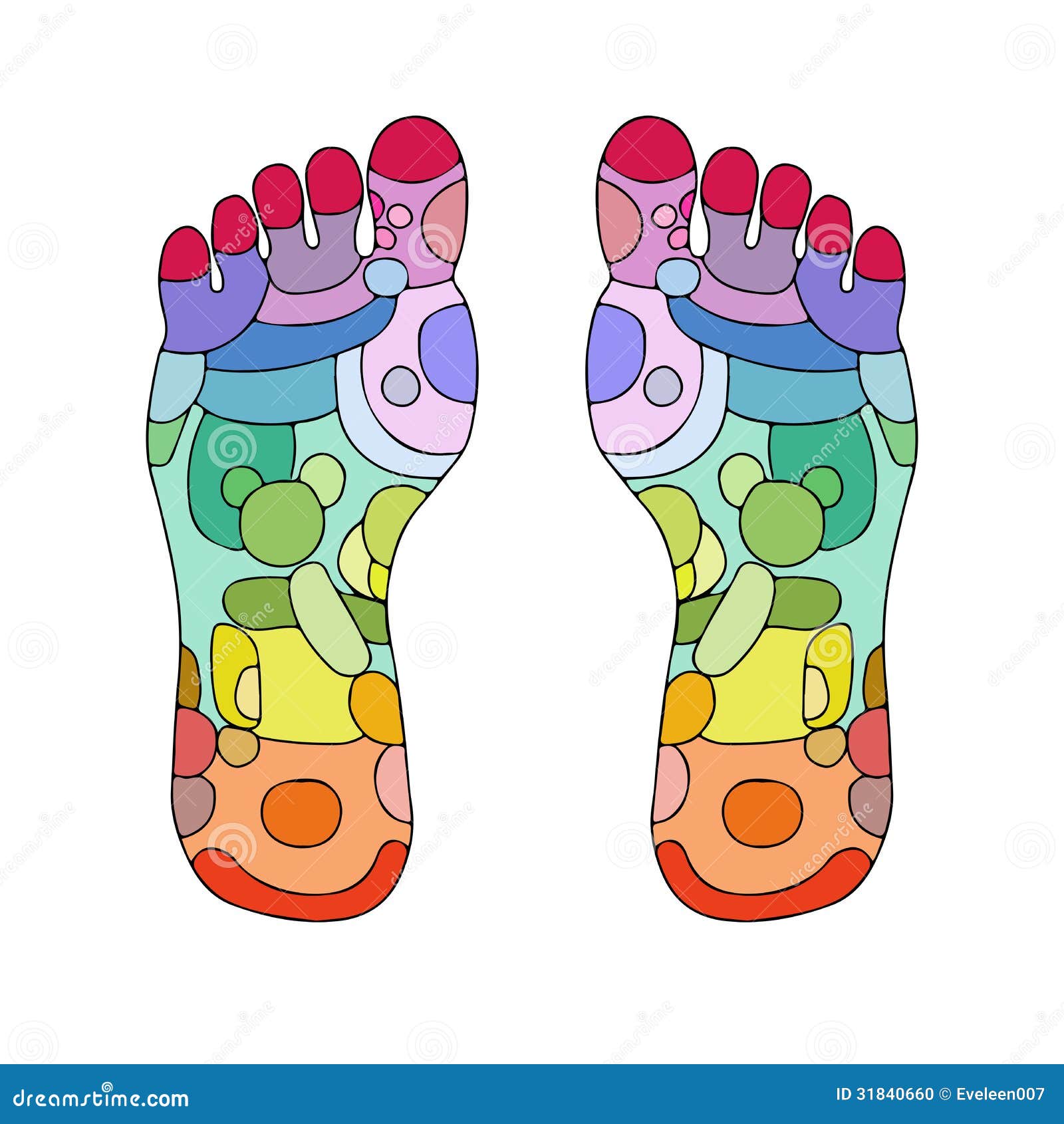 Reflexology Foot Massage Points Stock Vector Illustration Of Finger