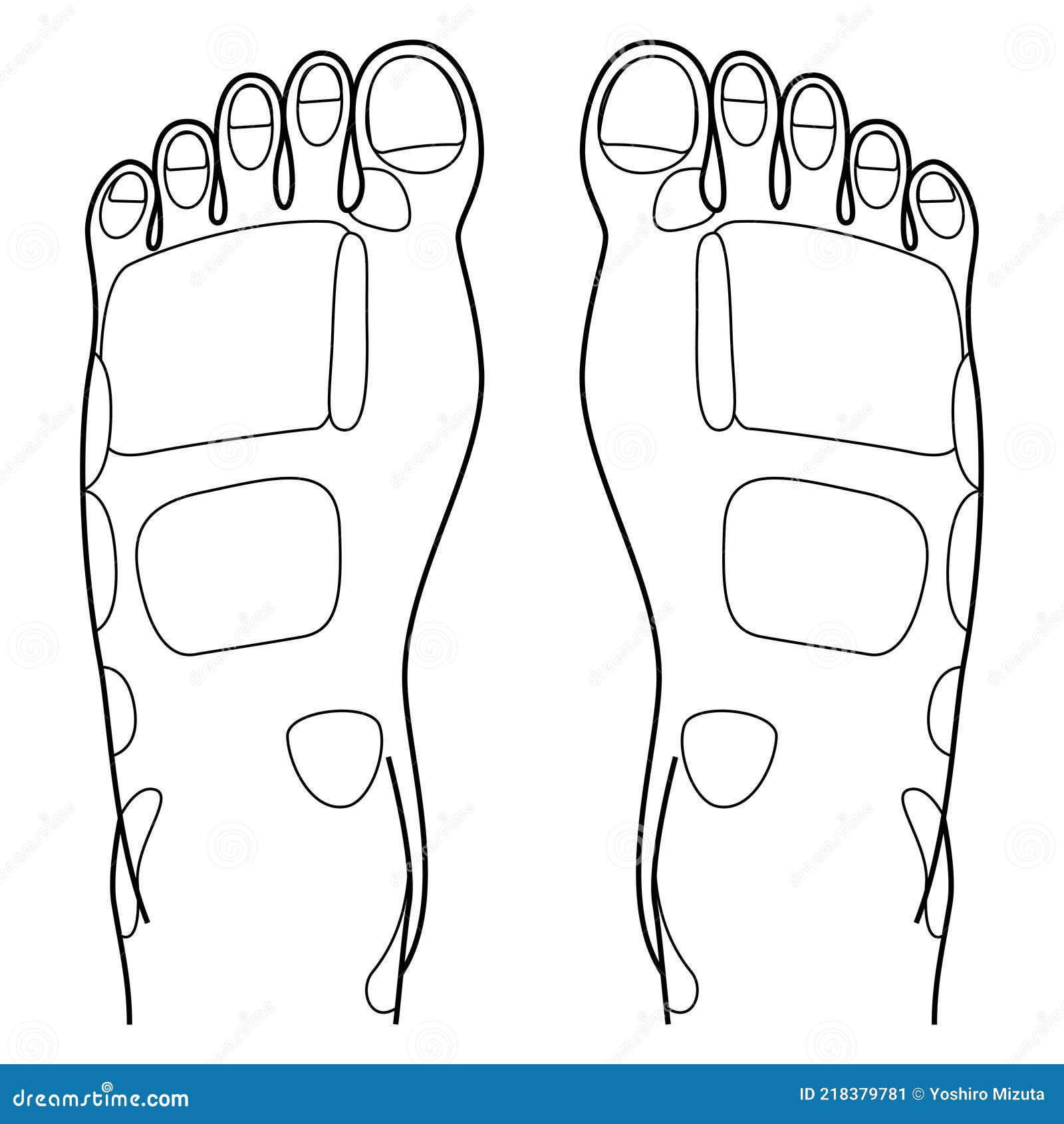 Reflexology Foot Massage Points Reflexology Zones Massage Signs And