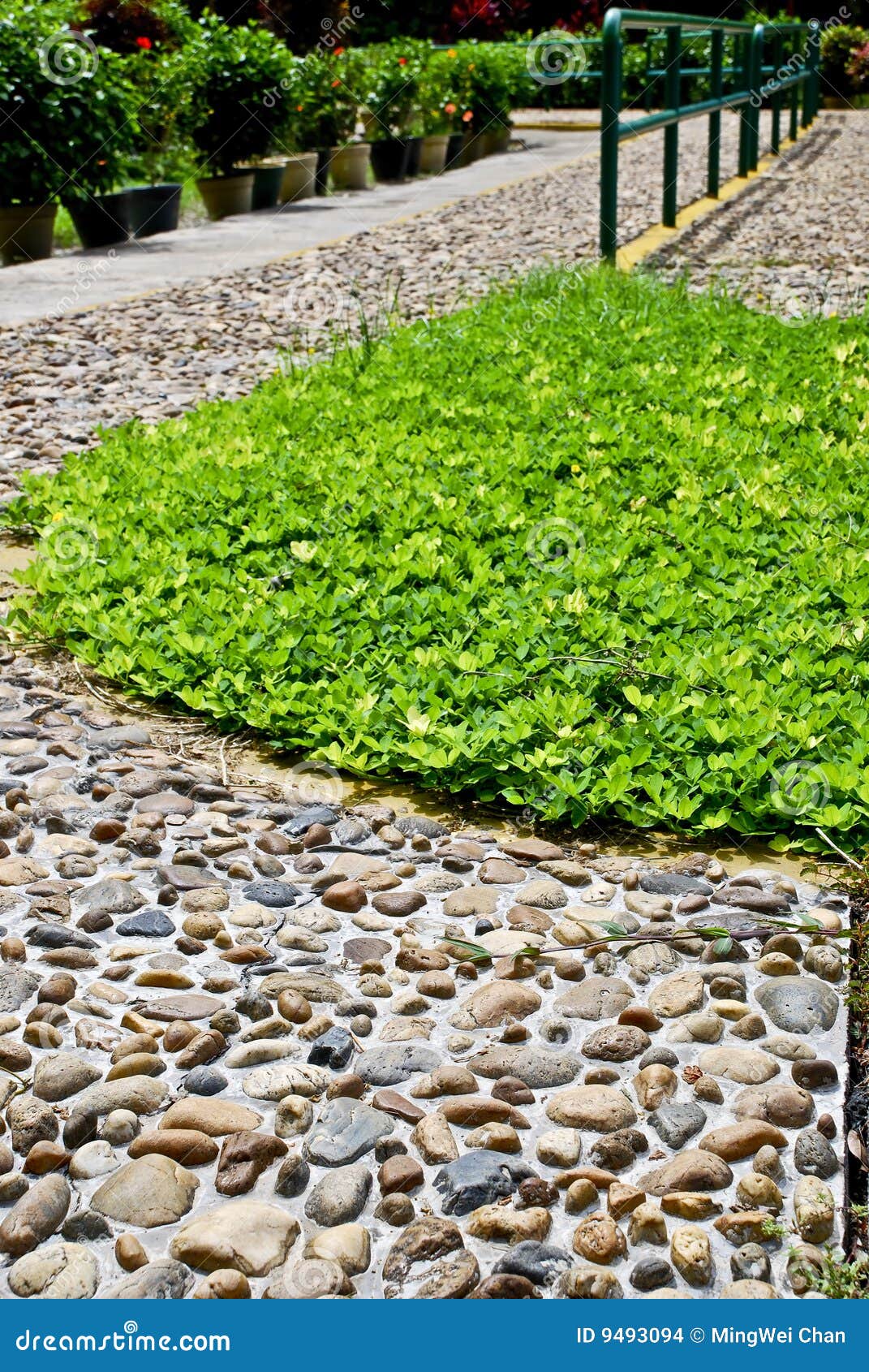 Reflexology Path 01 stock photo. Image of organs, pressure - 9493094