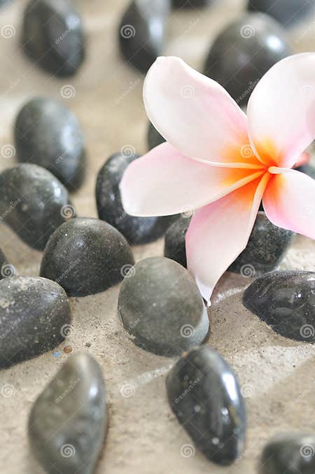 Reflexology Path stock image. Image of footpath, stones - 5294273