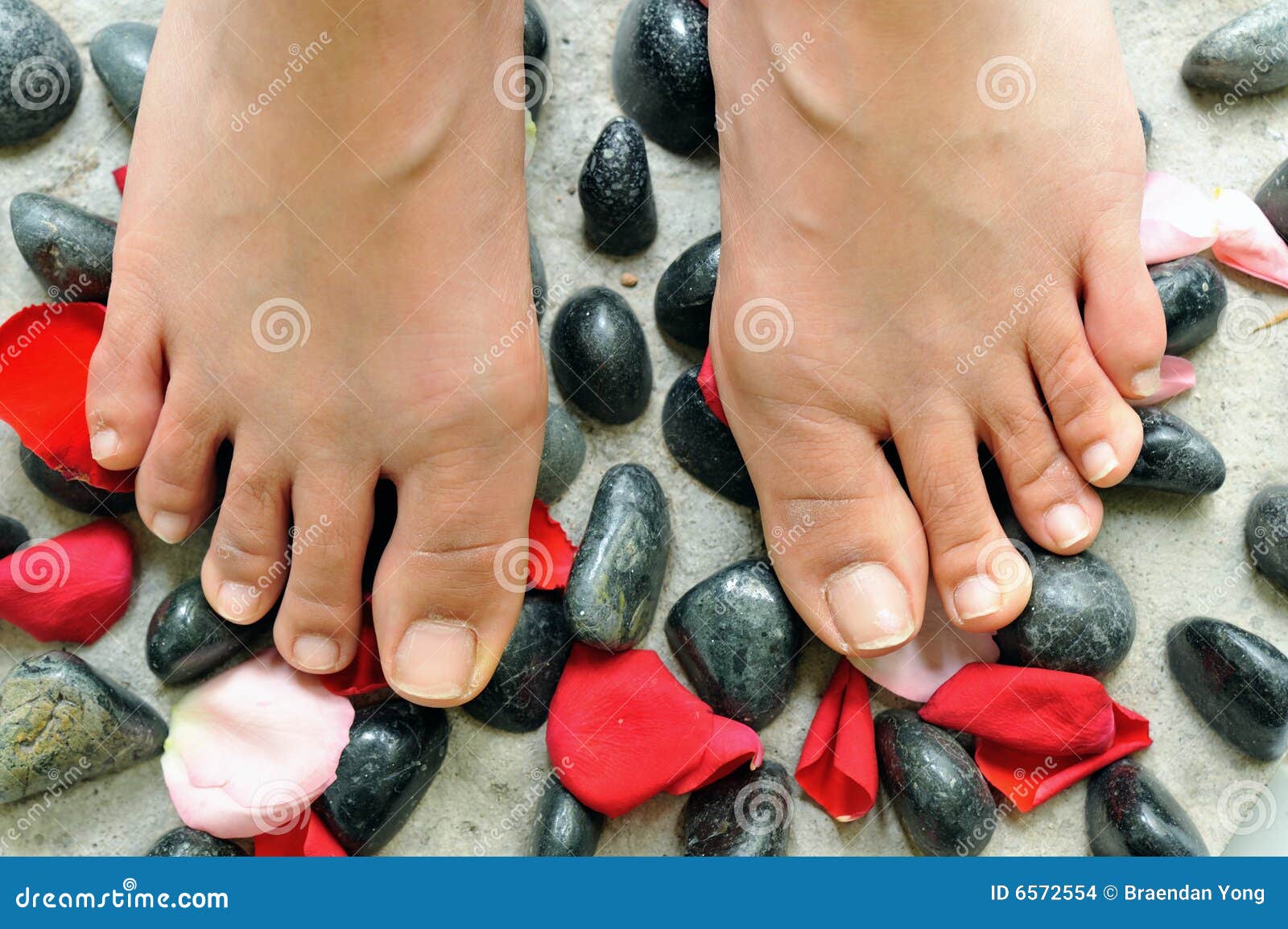 Reflexology Path Series 4 stock photo. Image of healthy - 6572554