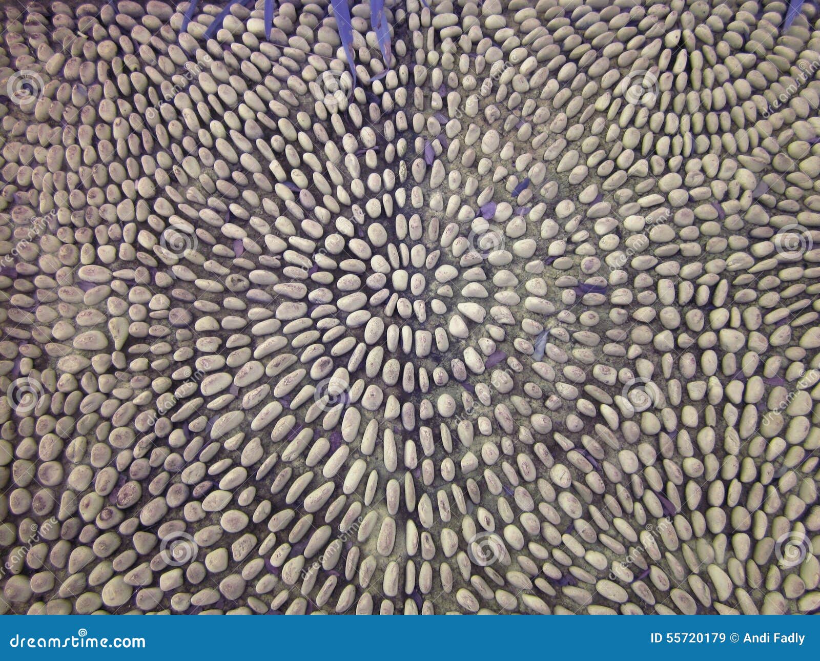 The reflexology stock image. Image of foot, reflexology - 55720179