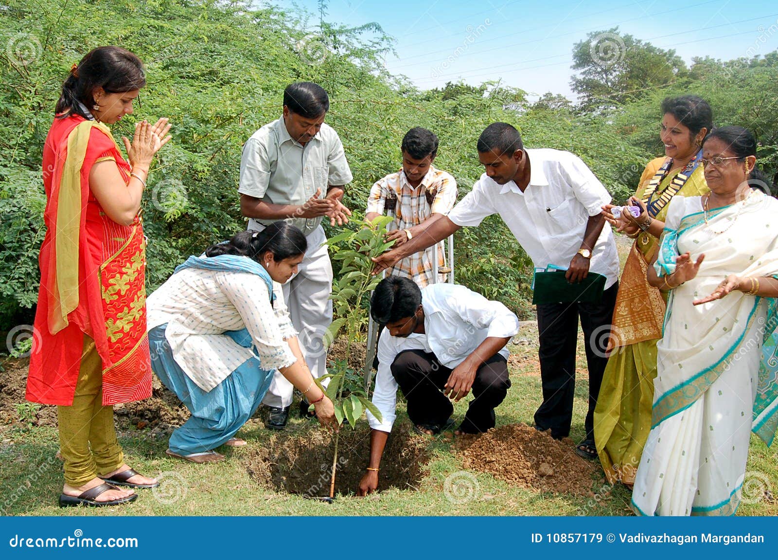 Reforestation editorial stock image. Image of peoples - 10857179 Reforestation editorial stock image. Image of peoples - 10857179