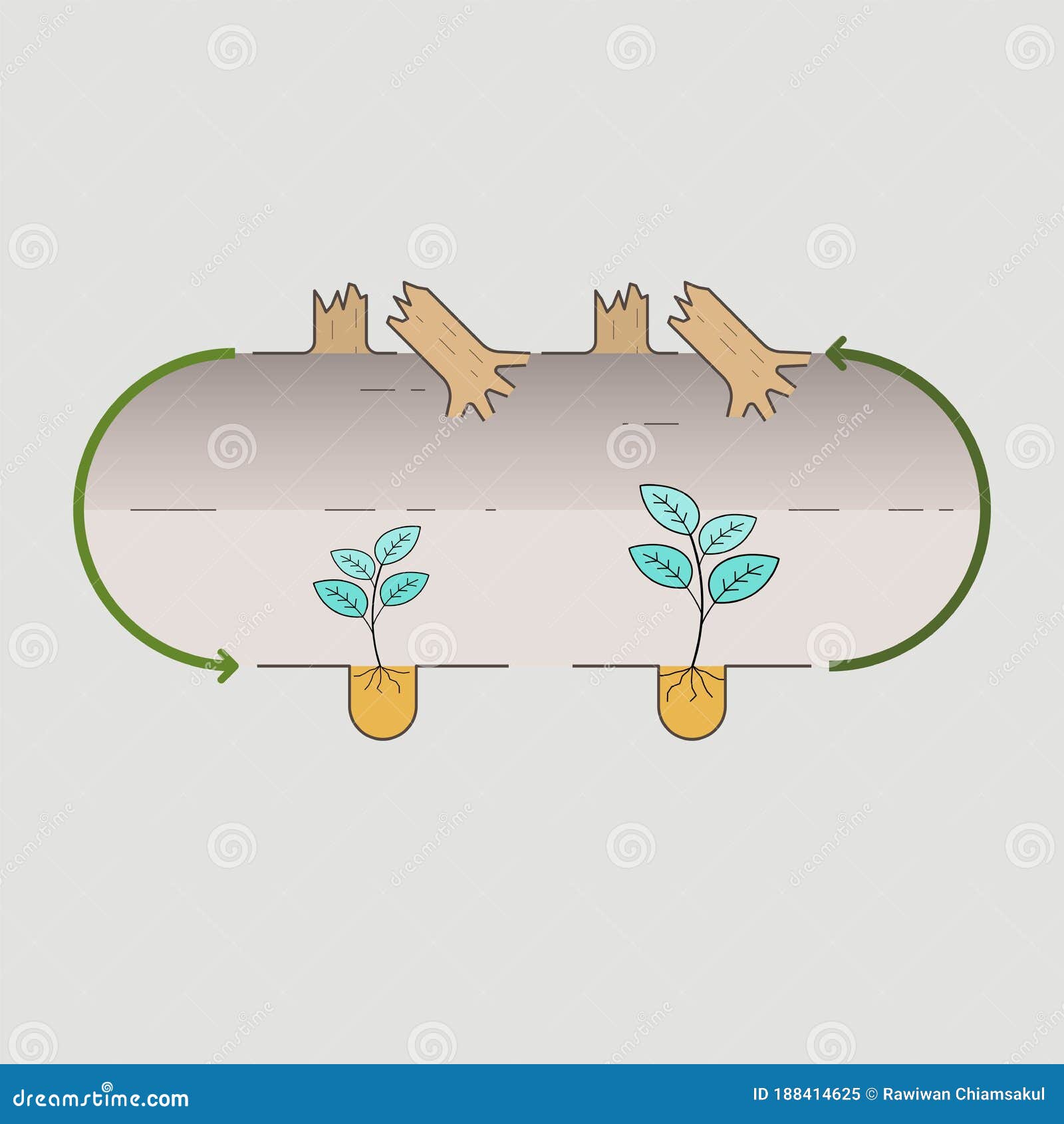 Reforestation Infographic Stock Illustrations – 71 Reforestation ...