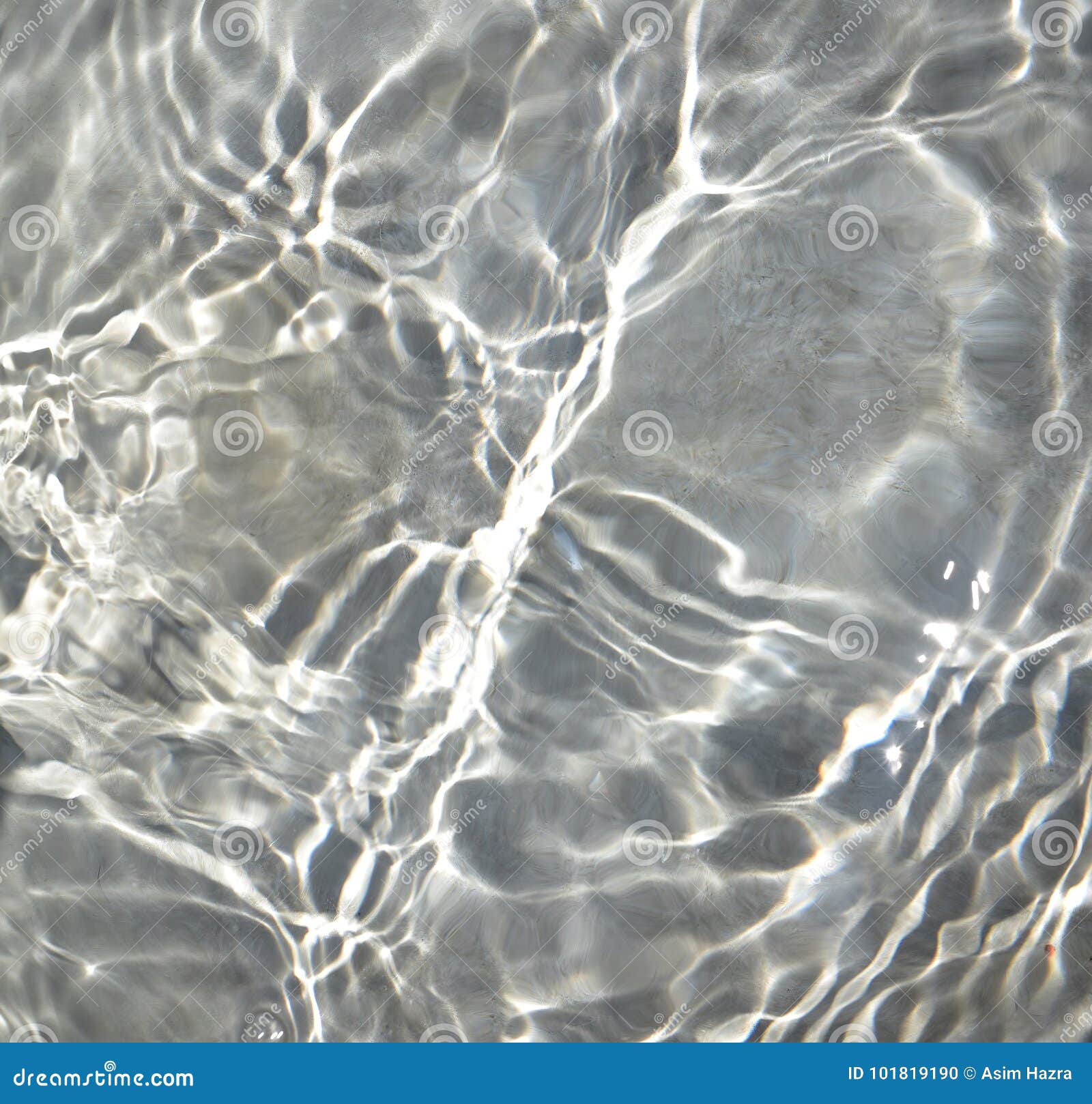 Refracted light stock photo. Image of aquarium, sunlight - 101819190