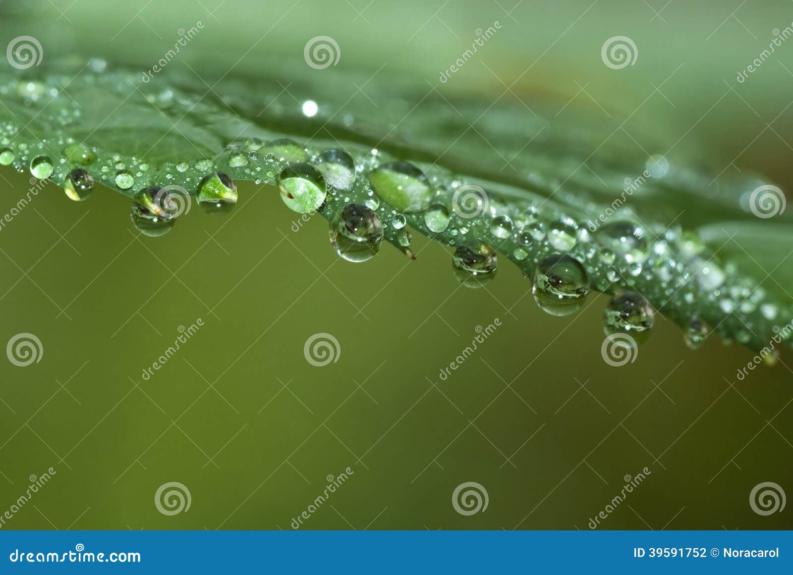 Refraction on a droplets stock photo. Image of yellow - 39591752
