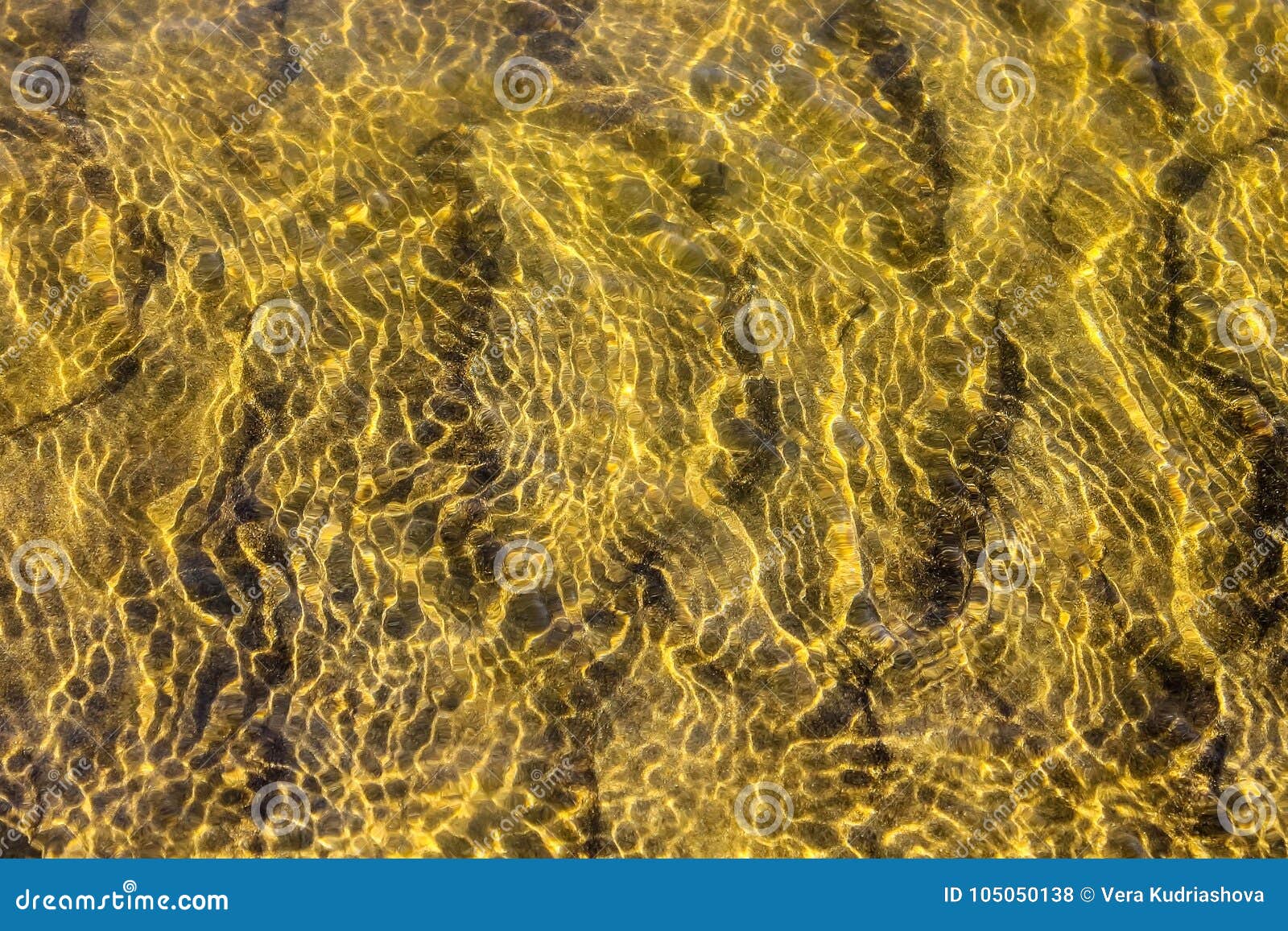 Refraction of Light through Water. Stock Photo - Image of tracery ...