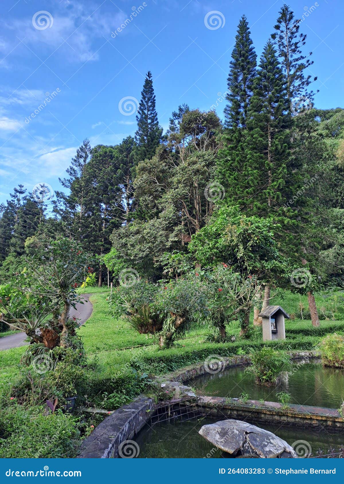 Refresh Your Life Text On Small Blackboard Stock Photography ...