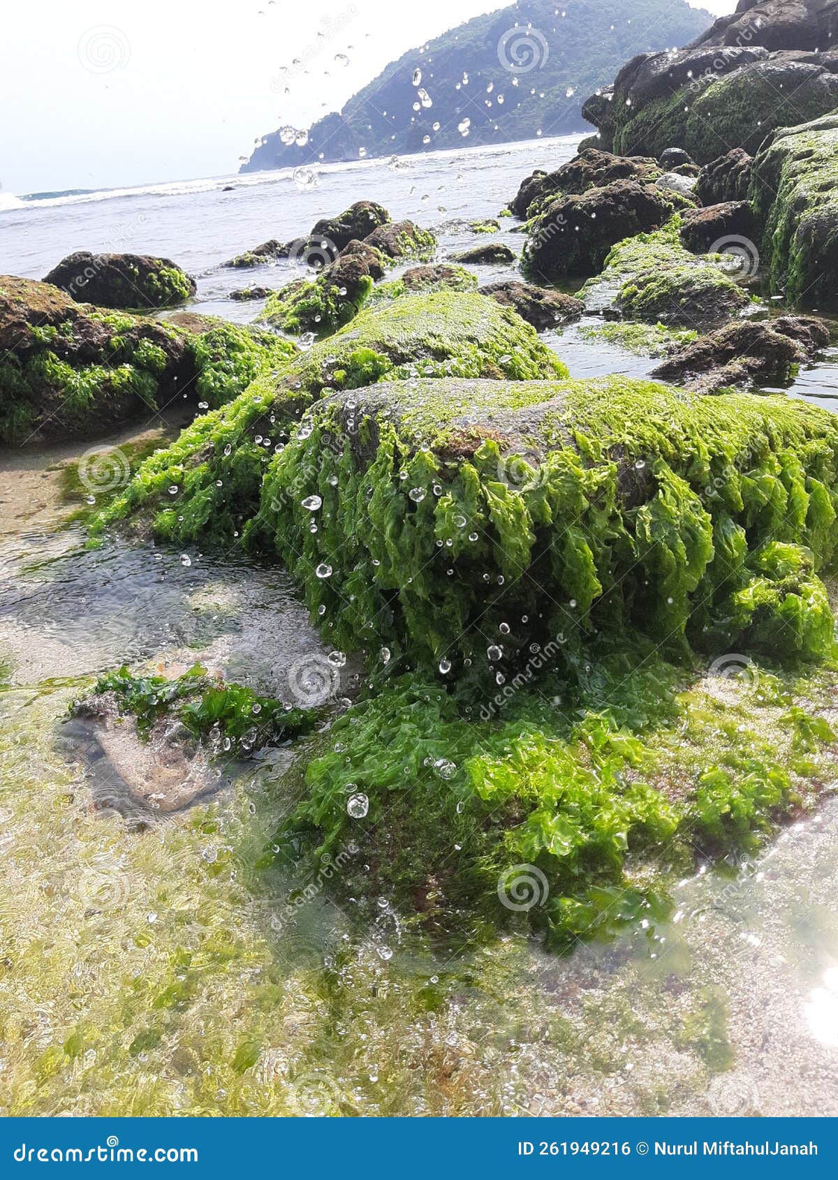 Refreshing Atmosphere on the Beach Stock Photo - Image of nature ...