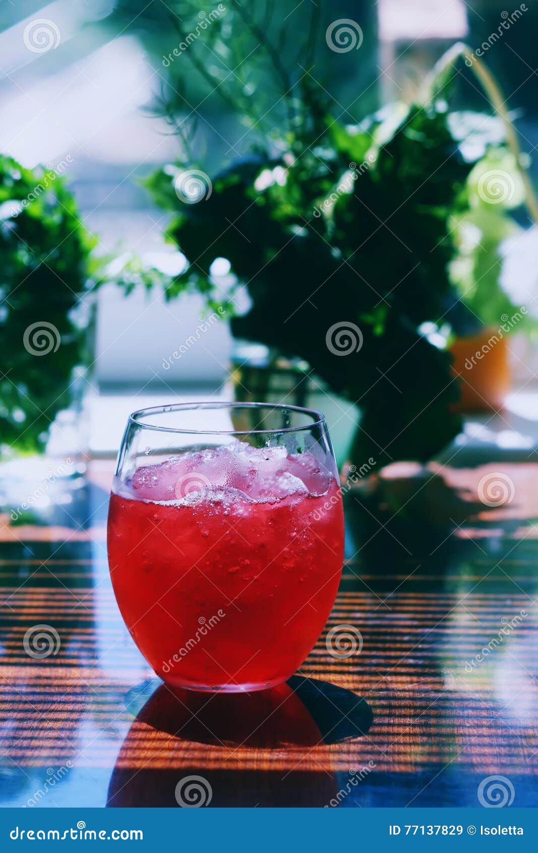 Refreshing Cold Pink Cocktail Stock Image - Image of cocktail, tequila ...