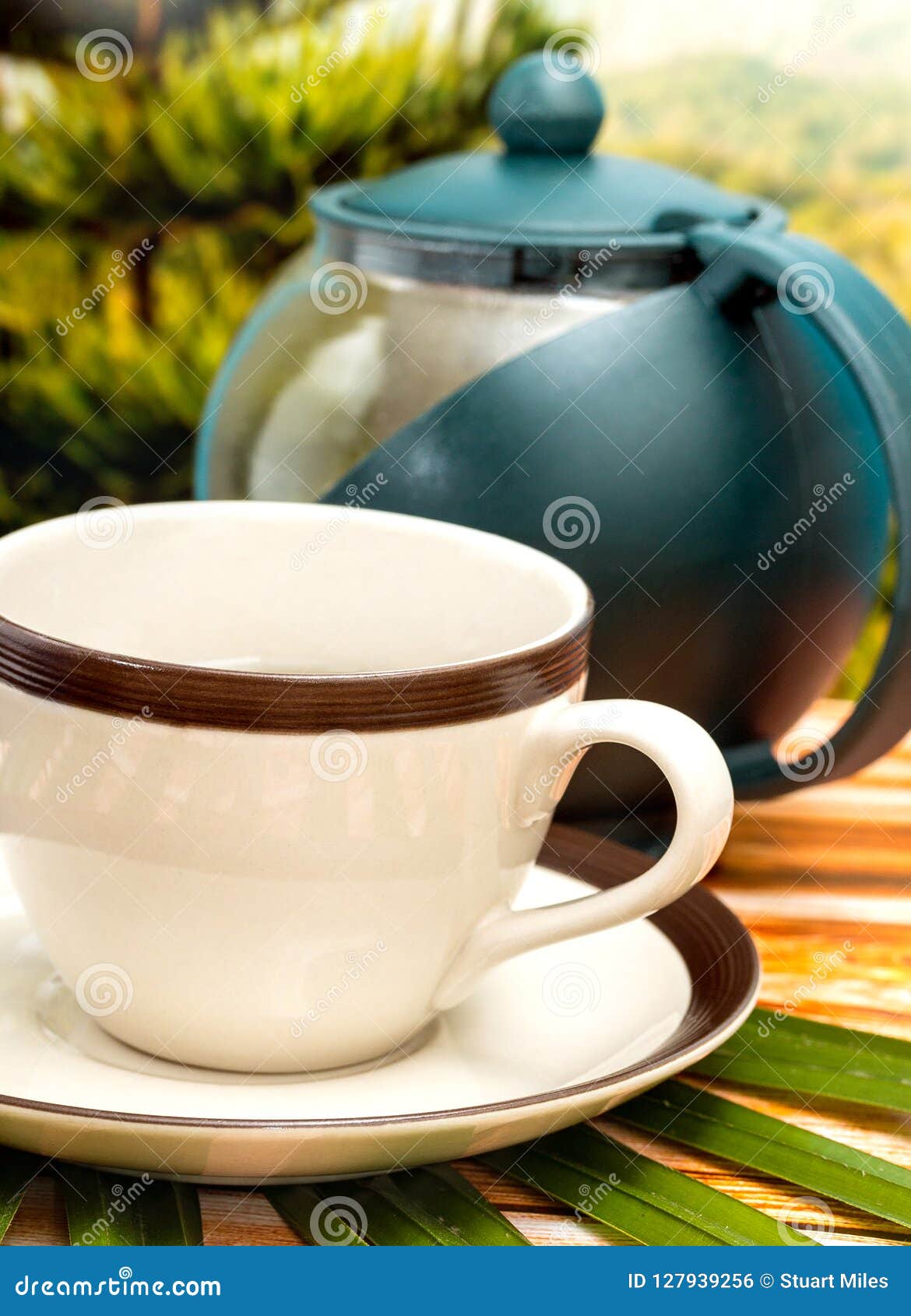 Refreshing Green Tea Means Refreshed Drinks and Refreshments Stock ...