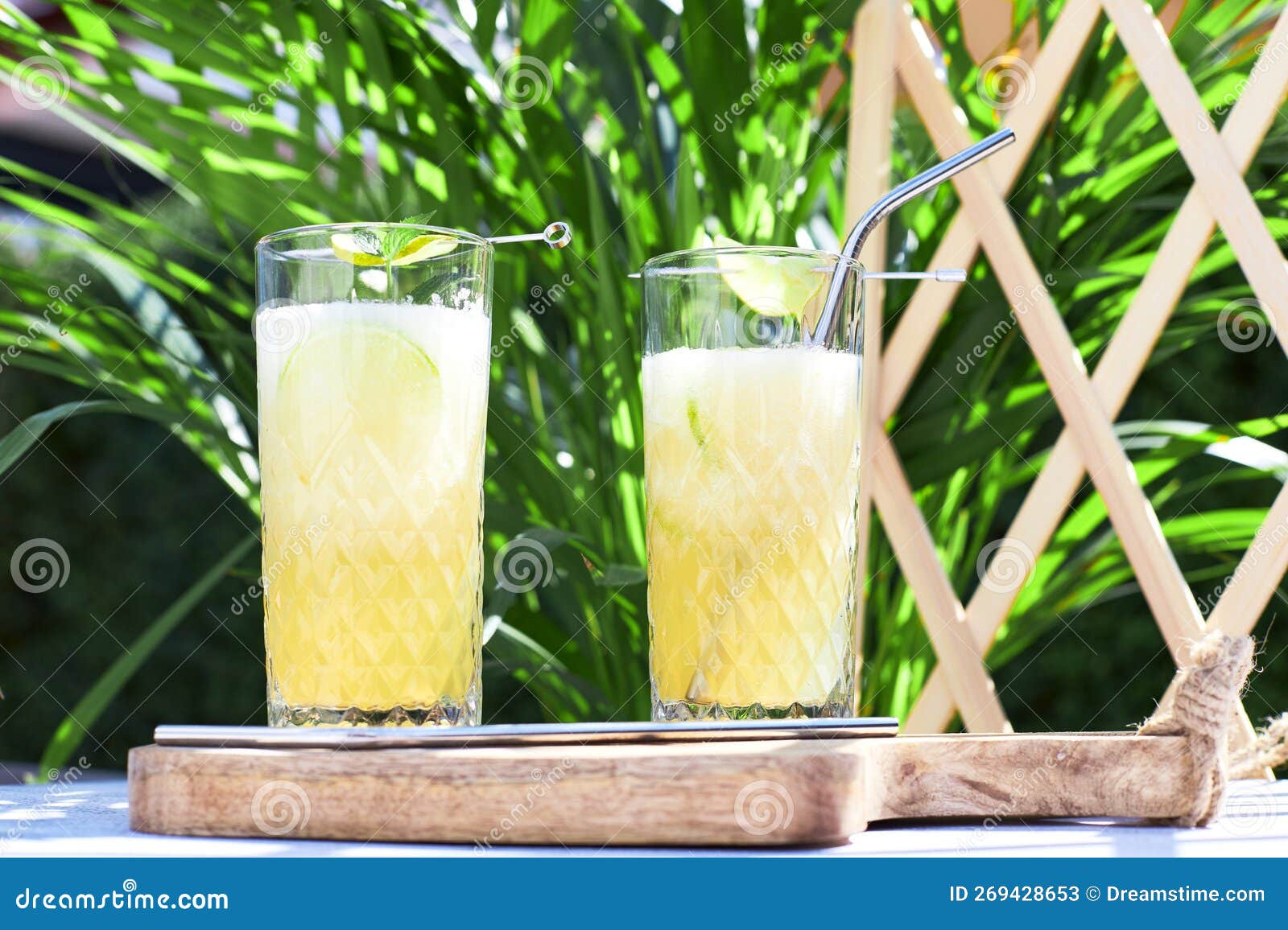 Refreshing Iced Melon Cocktail or Smoothie Garnished with a Sprig of ...