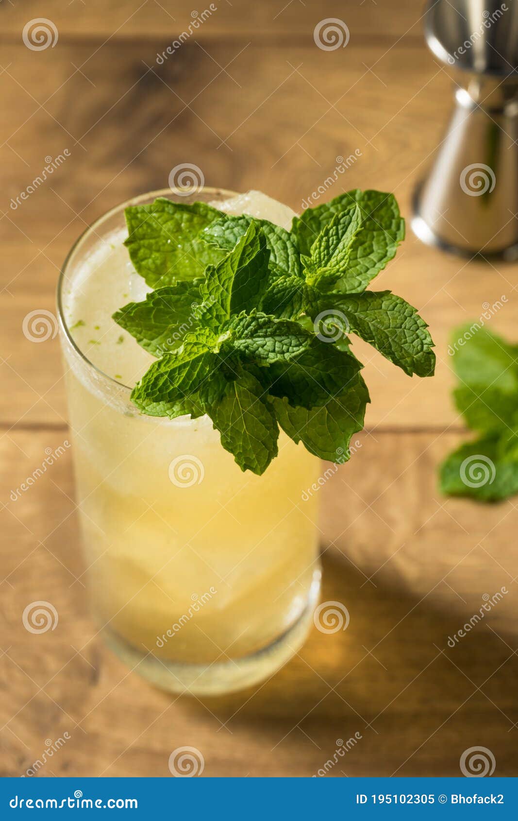Refreshing Mint GinGin Mule Cocktail Stock Image - Image of lemon ...