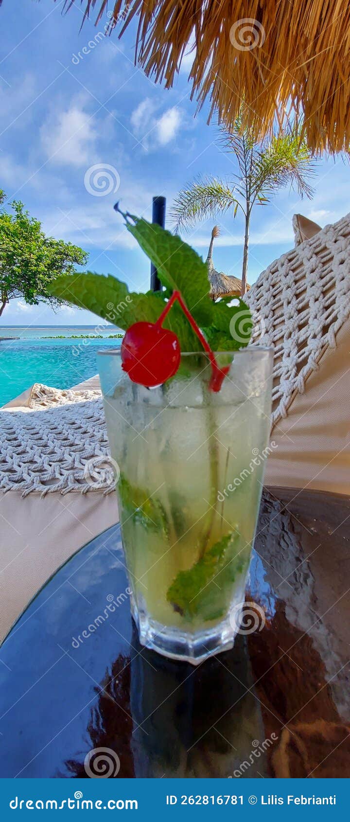 Refreshing Mojito by the Pool Stock Image - Image of plant, dish: 262816781