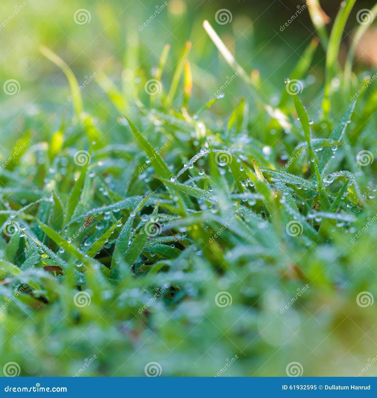 Refreshing in the morning. stock image. Image of blur - 61932595
