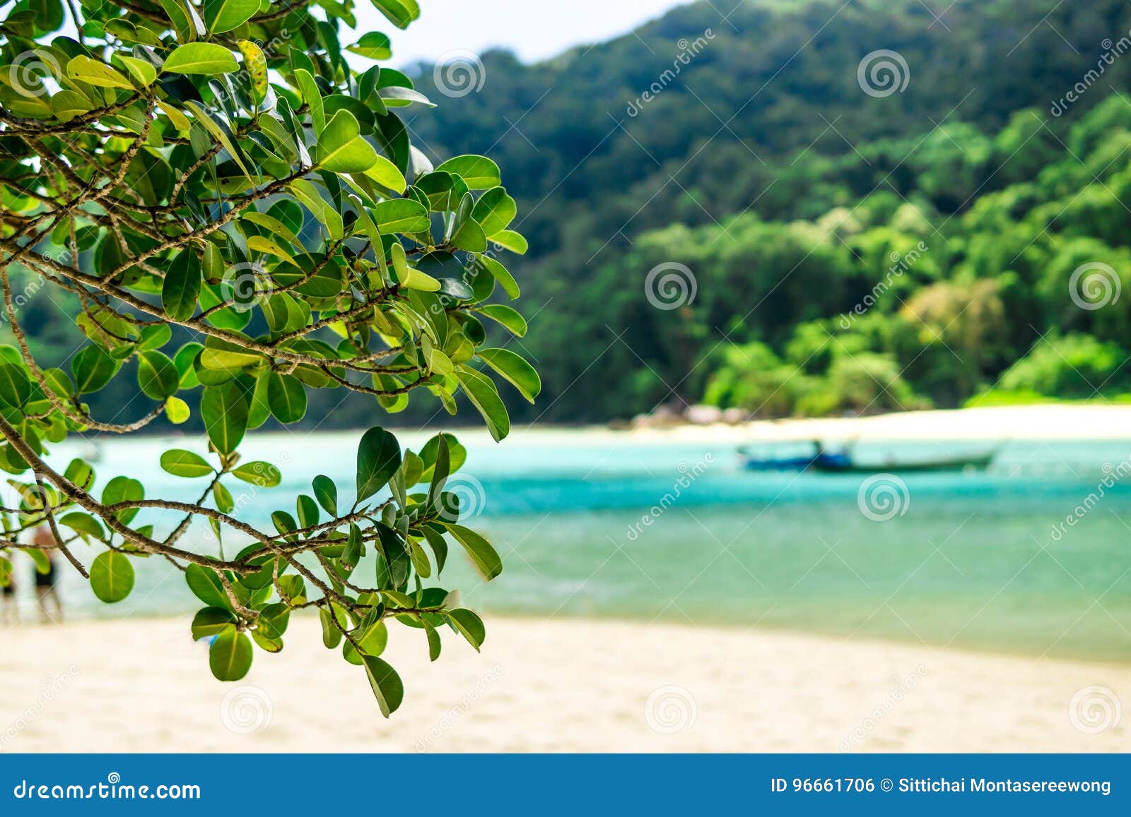 Refreshing with nature stock photo. Image of comfortable - 96661706