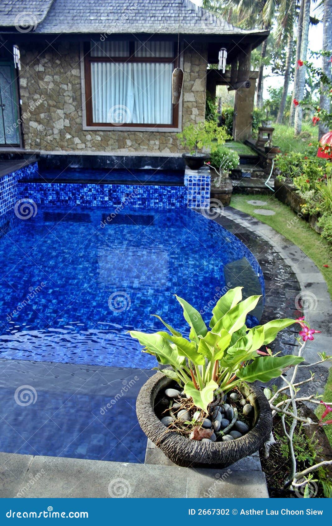 Refreshing Pool stock photo. Image of relaxation, travel - 2667302