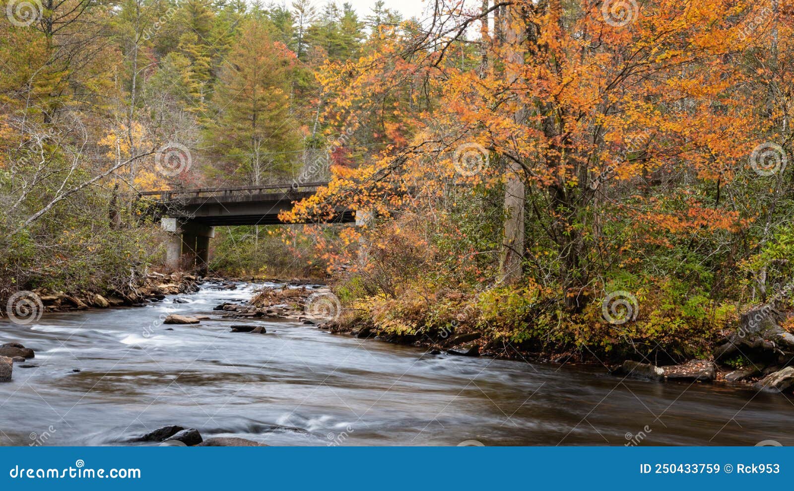Refreshing Stream Flowing Under Bridge Deep in the Autumn Forest Stock ...