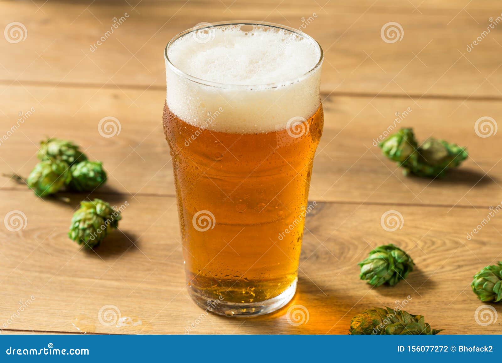 Refreshing Summer IPA Craft Beer Stock Photo - Image of brewing ...