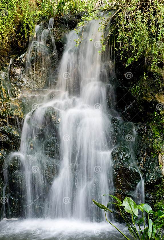 Refreshing waterfall stock image. Image of motion, grass - 7271285