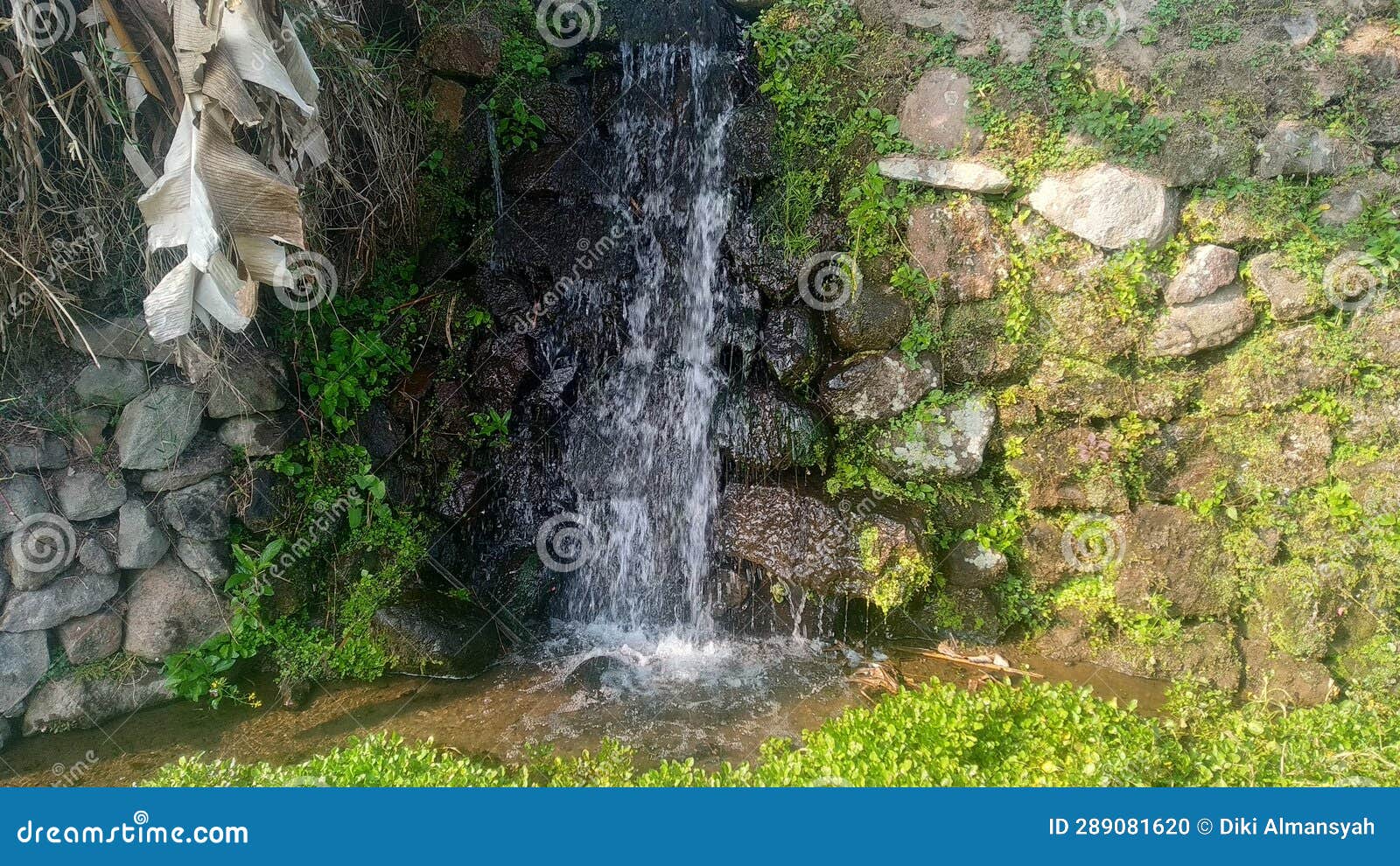 Refreshing Waterfall in Lush Greenery: Dynamic Cascading Water Motion ...
